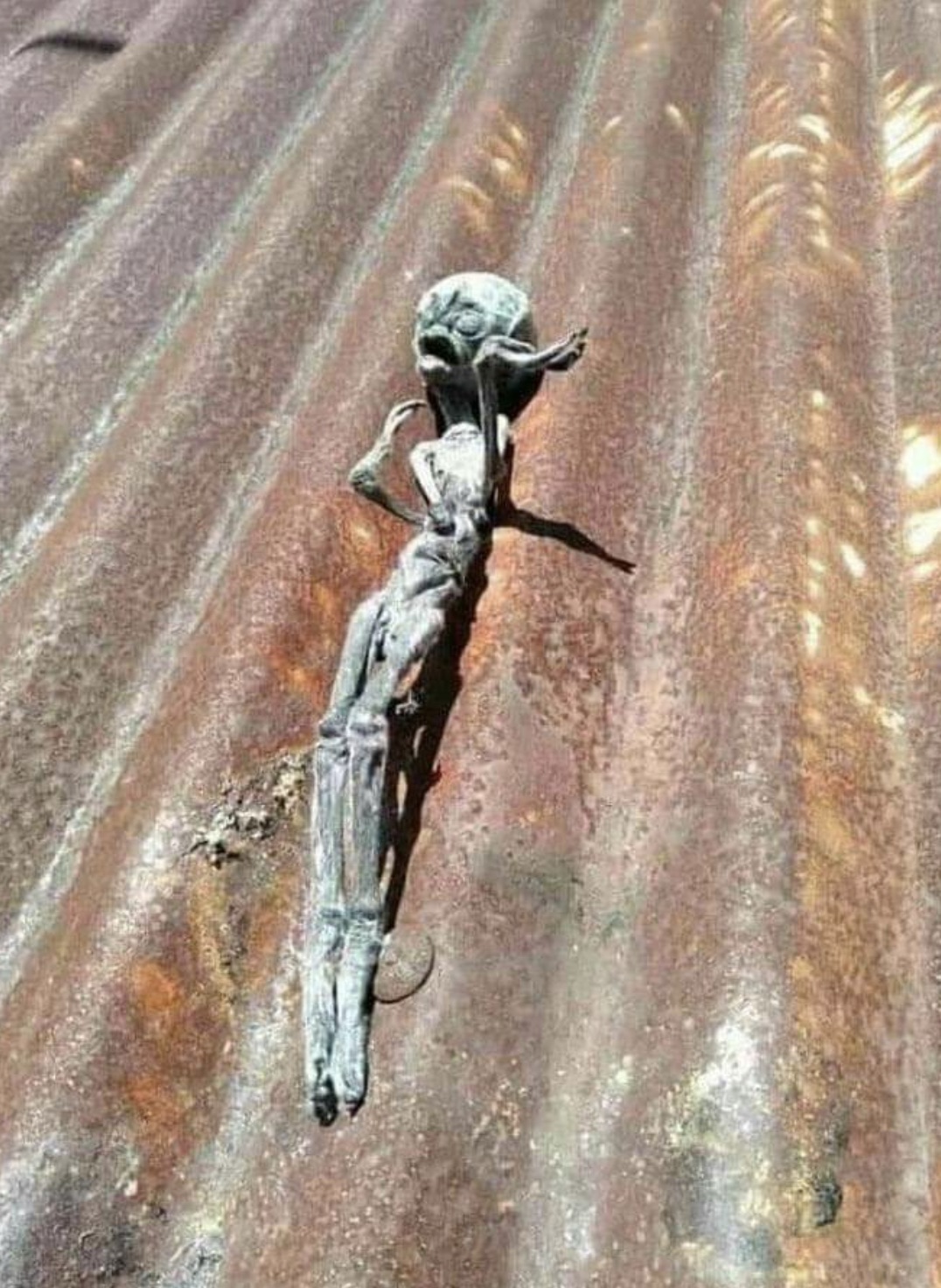 31 Cursed Pics to Curl Your Fingernails | eBaum's World