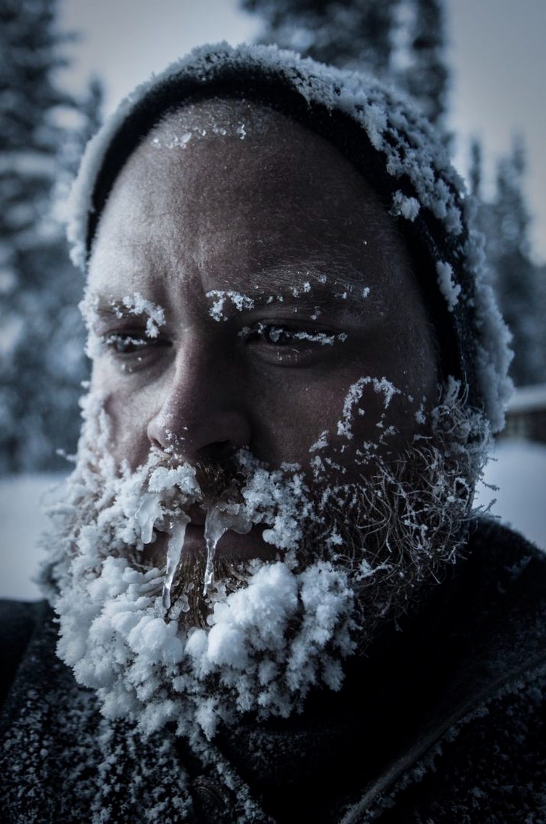 38 Incredibly Cool Pics of Ice Beards | eBaum's World