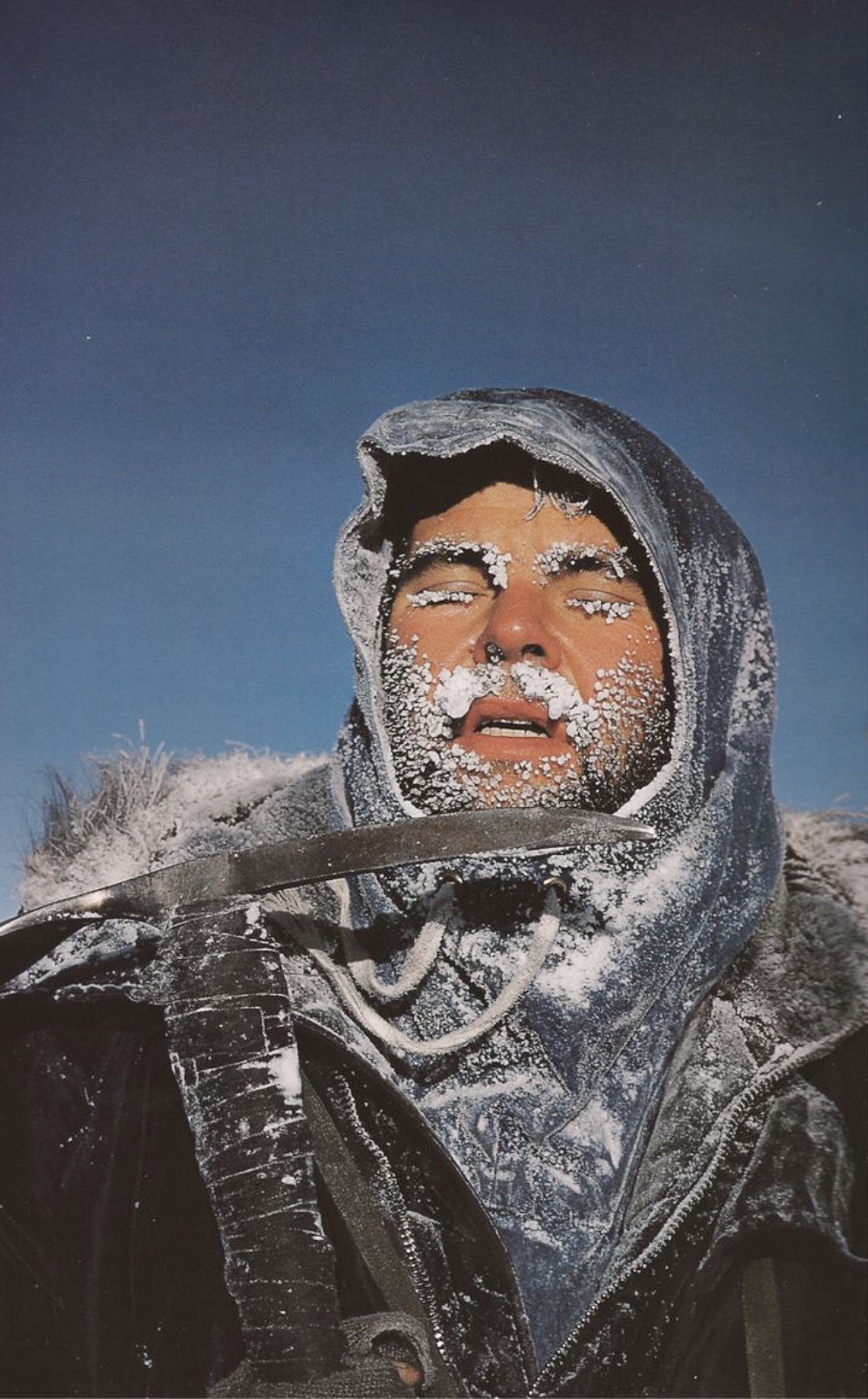 38 Incredibly Cool Pics of Ice Beards | eBaum's World