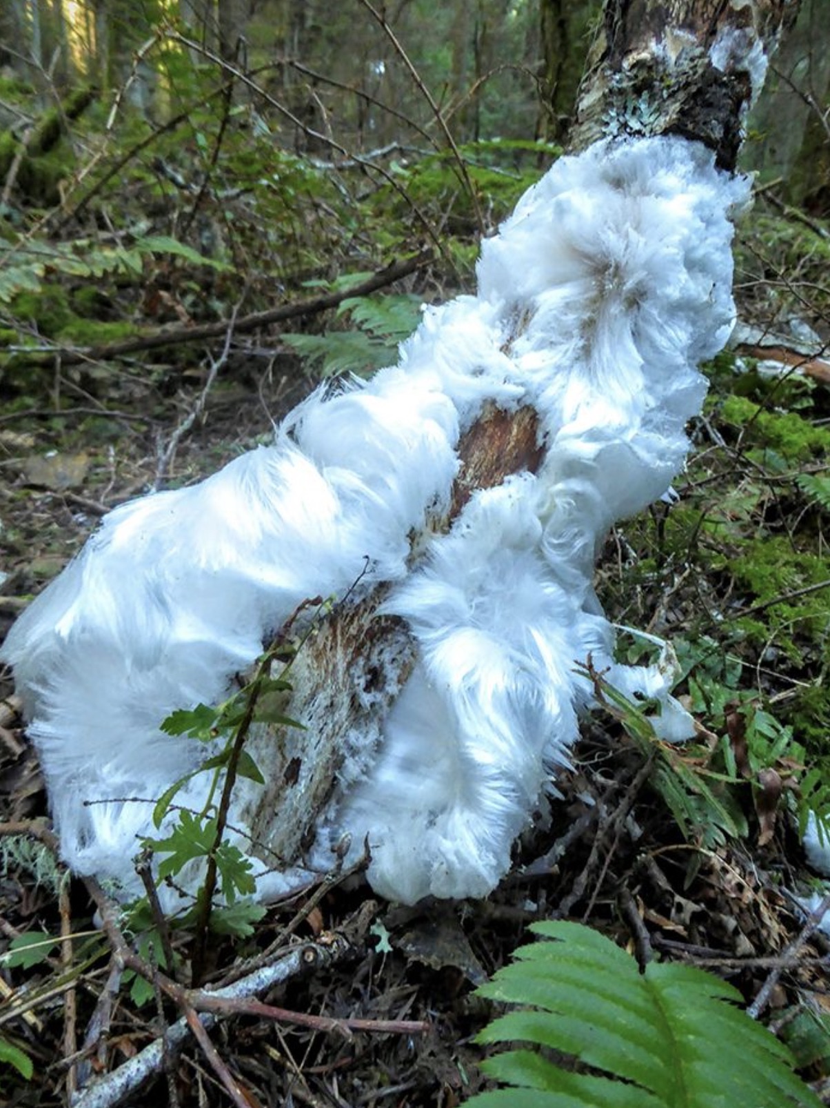 34 Poignant Pictures Showing Off Our Wonderful World | eBaum's World