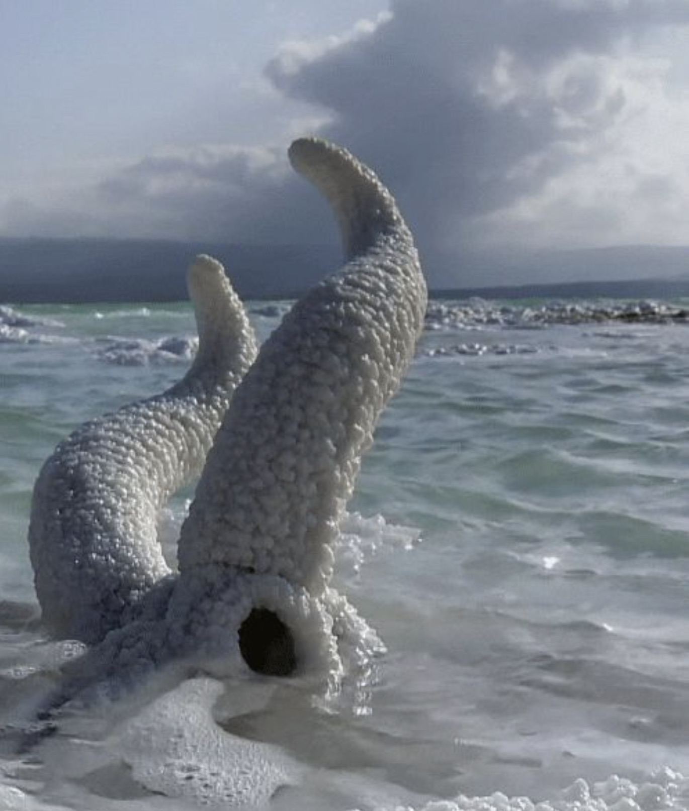 36 Intriguing Pictures That Showcase the Variety of Our World | eBaum's ...