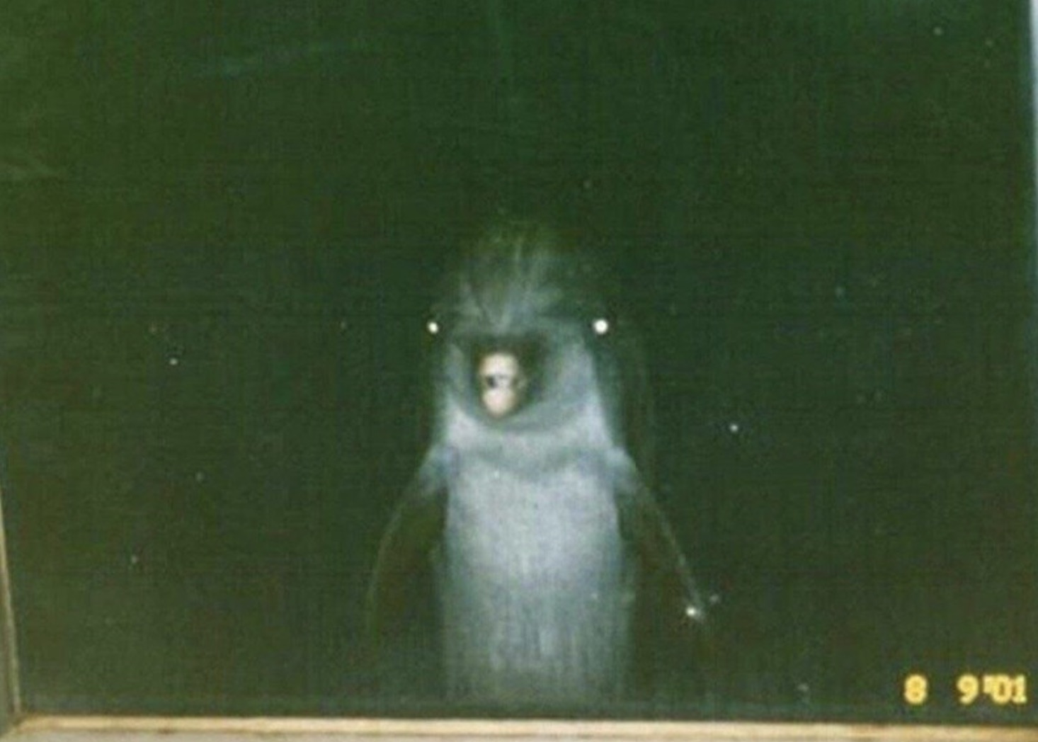 38 Cursed Images We Scraped Off the Walls | eBaum's World