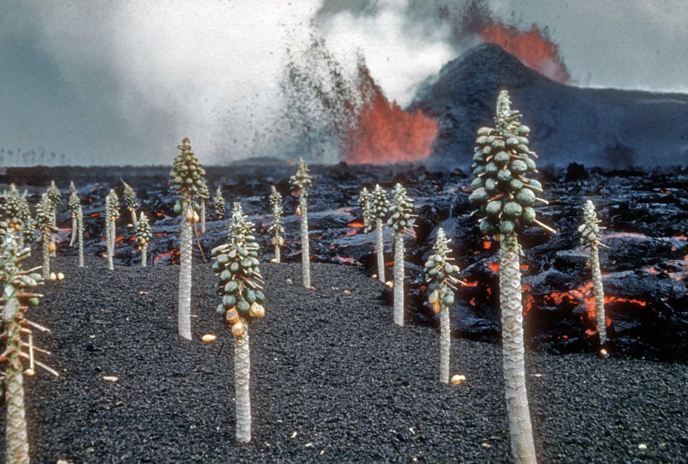 45 Intriguing Photos of Our Fascinating World | eBaum's World