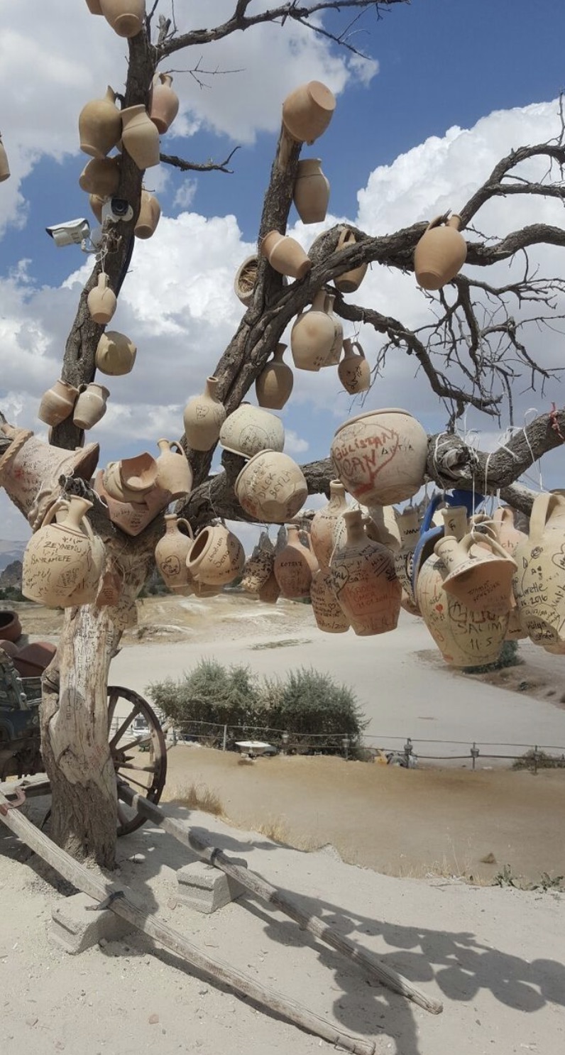 45 Intriguing Photos of Our Fascinating World | eBaum's World