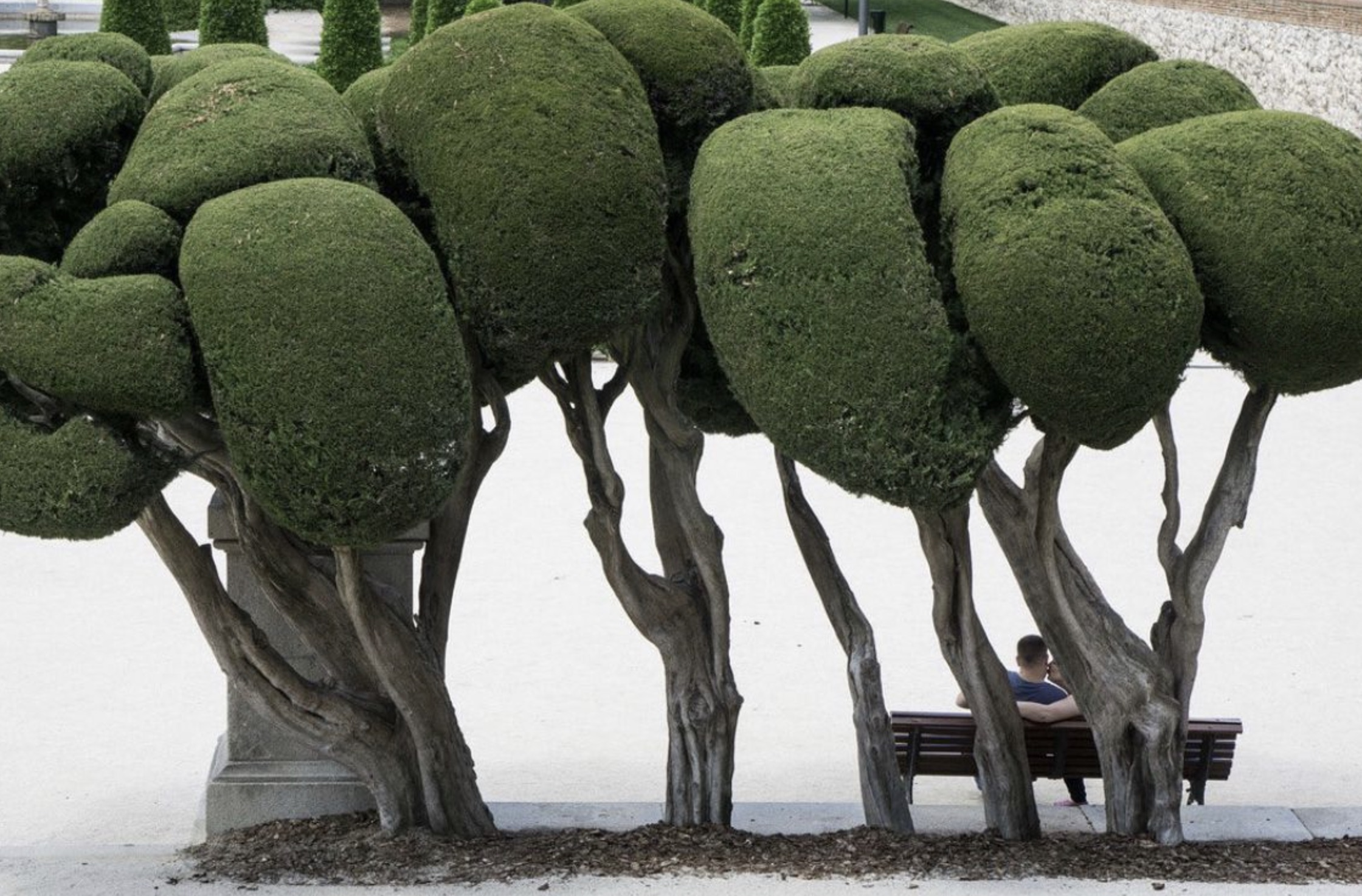 45 Intriguing Photos of Our Fascinating World | eBaum's World