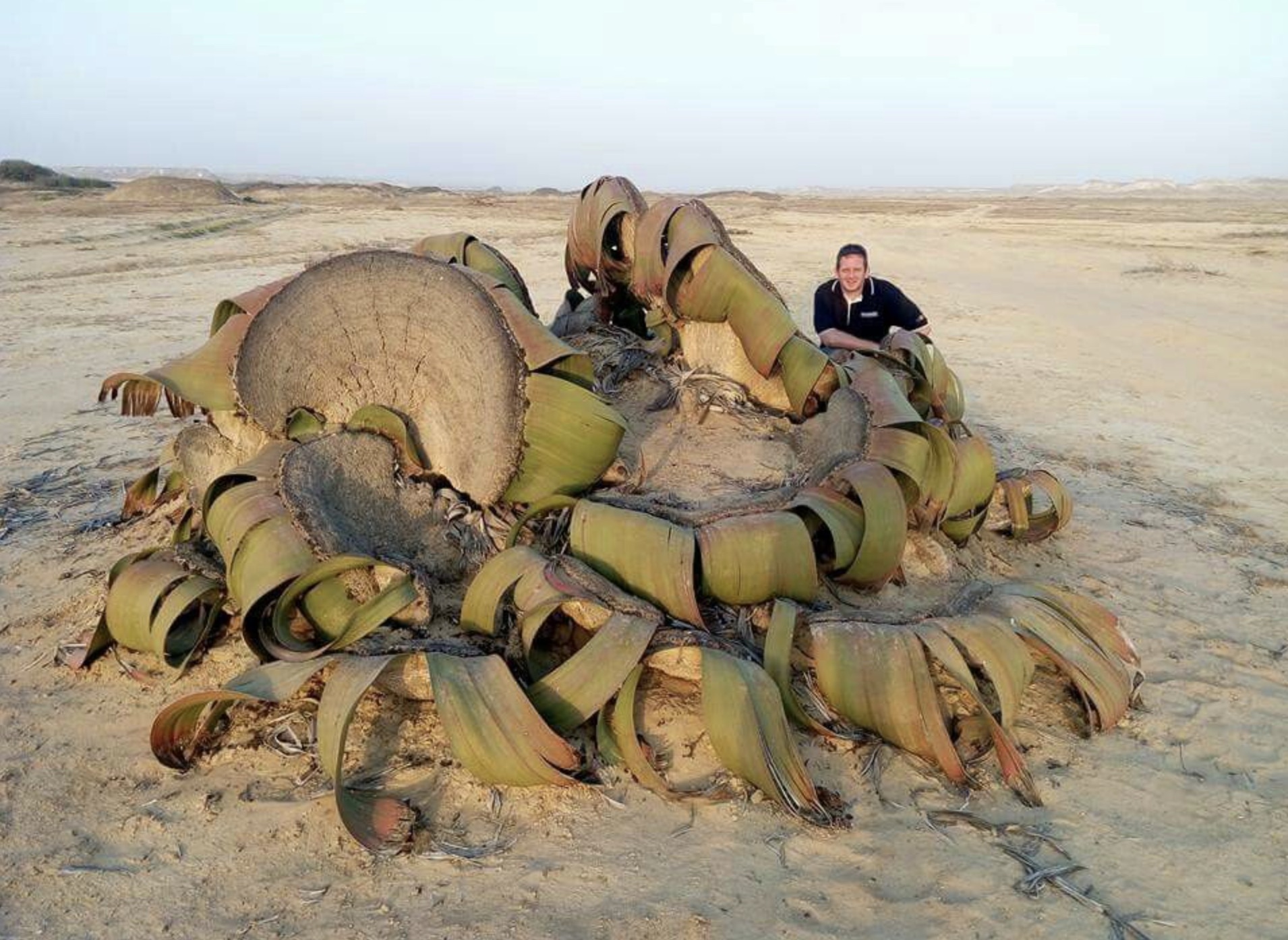 45 Intriguing Photos of Our Fascinating World | eBaum's World