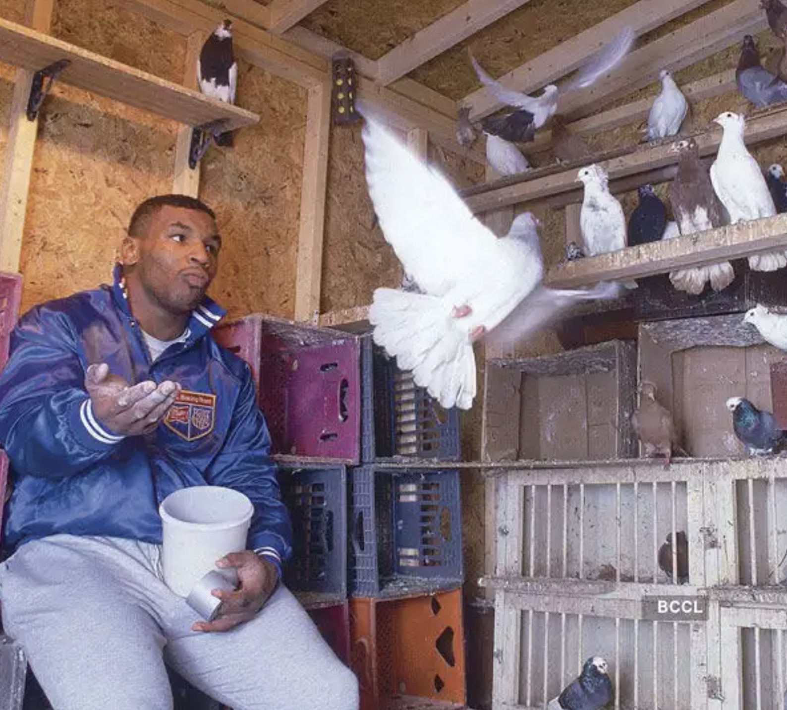 19 Normal and Not So Normal Celebrity Pets | eBaum's World