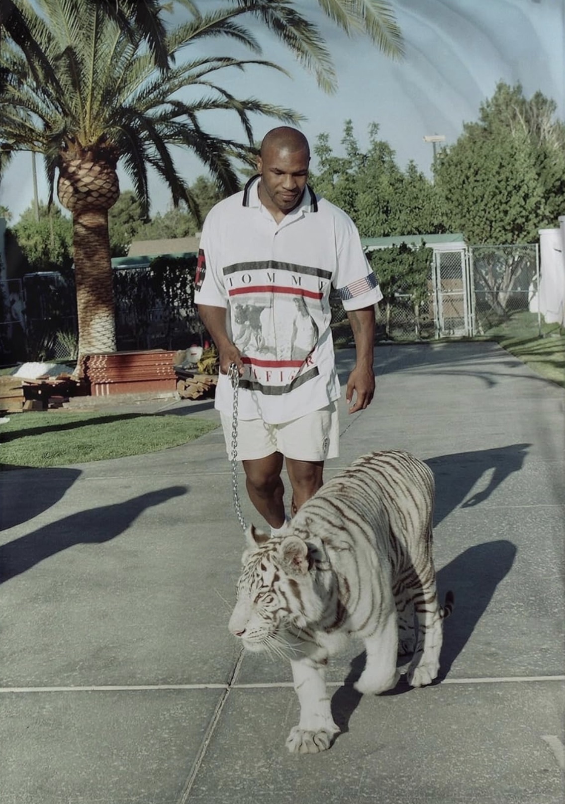 19 Normal and Not So Normal Celebrity Pets | eBaum's World