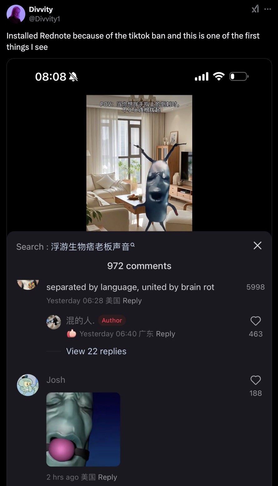 The 32 Funniest Posts and Memes from RedNote | eBaum's World