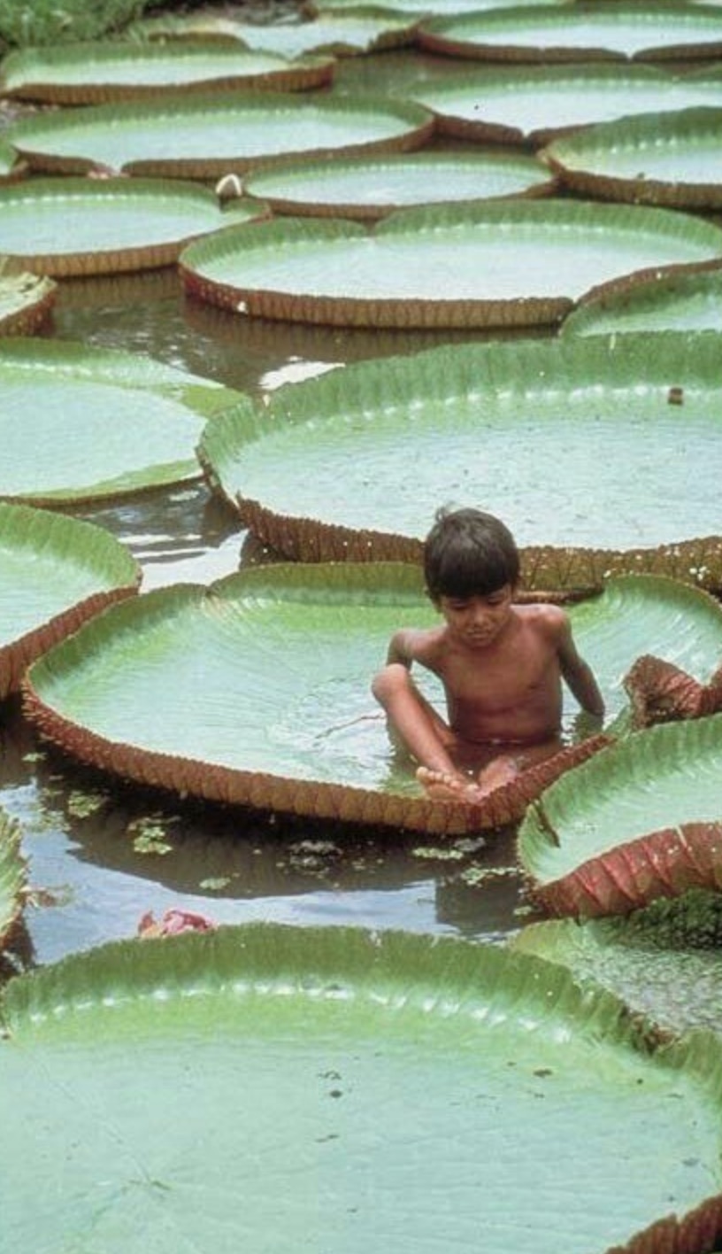 35 Peculiar Pics from Our Weird World | eBaum's World