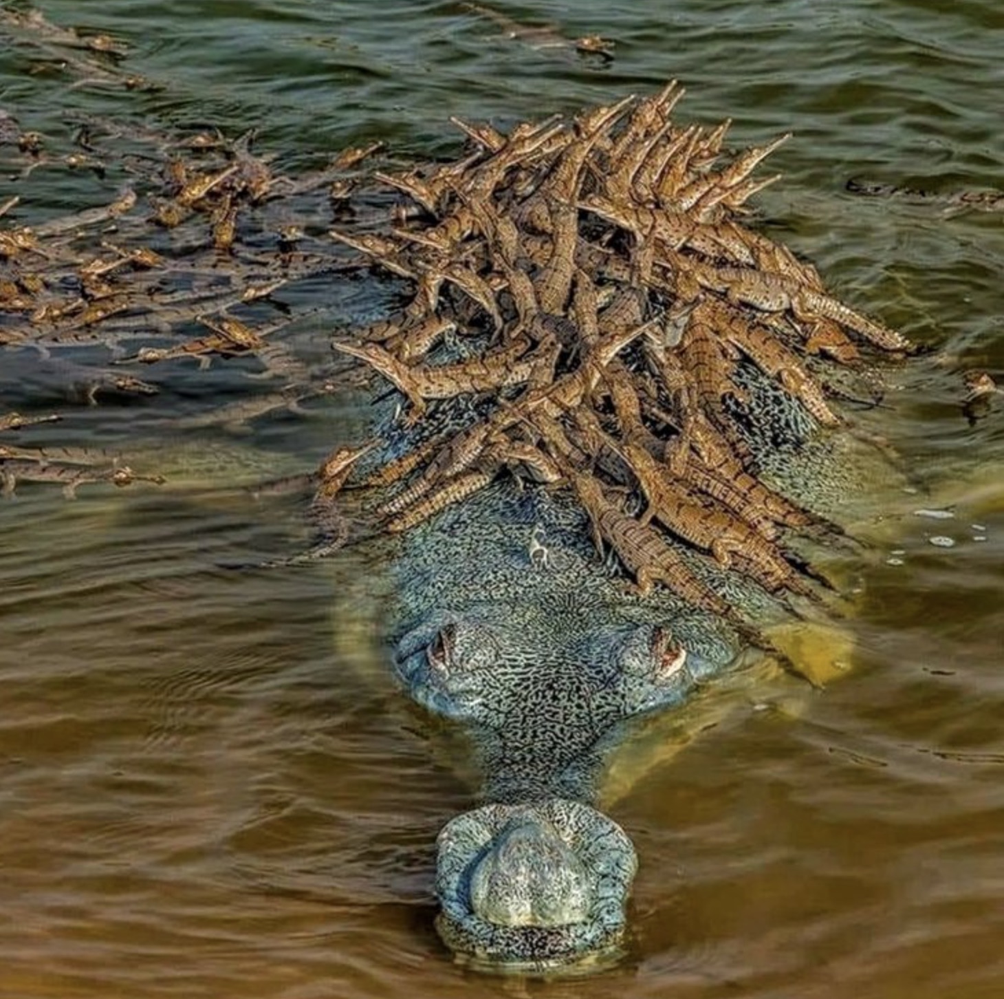 35 Peculiar Pics from Our Weird World | eBaum's World