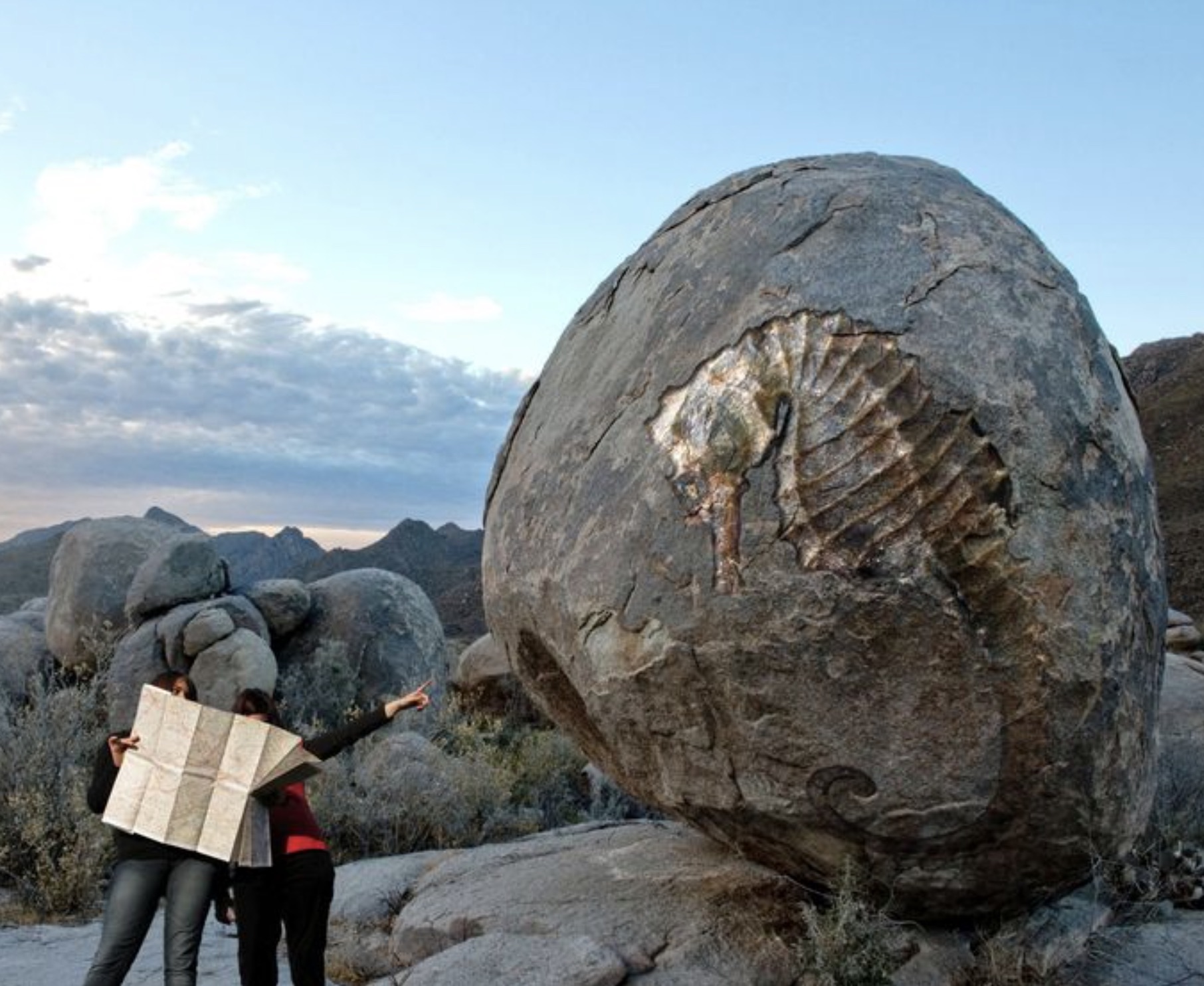 35 Peculiar Pics from Our Weird World | eBaum's World