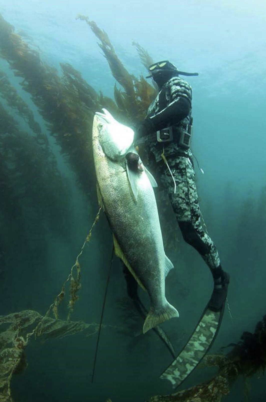 Awesome Ways People Around the World Catch Fish | eBaum's World