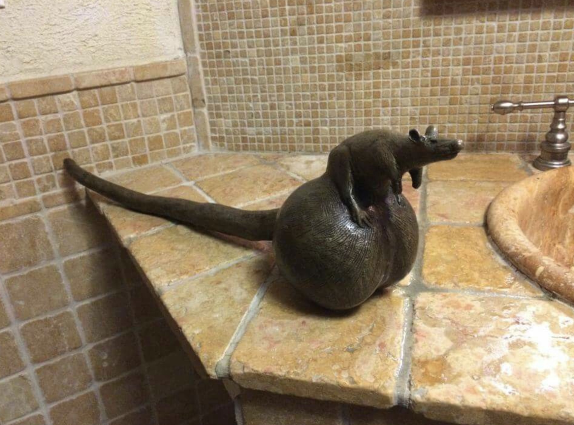 40 Cursed Pics Found in the Trenches | eBaum's World