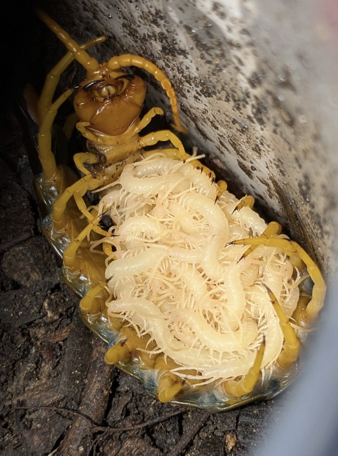 40 Cursed Pics Found in the Trenches | eBaum's World