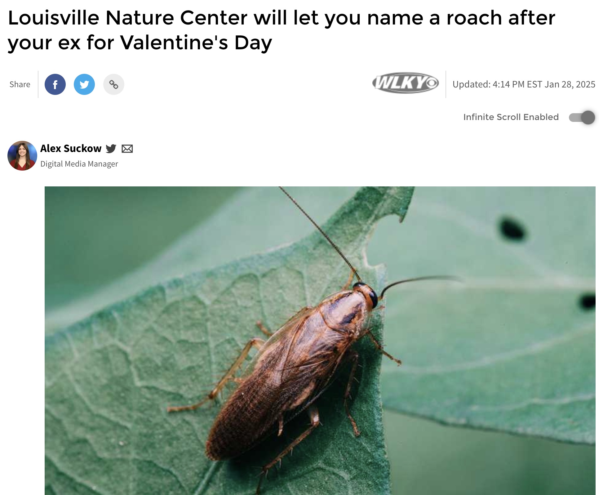 28 of the Dumbest & Funniest Headline of 2025, So Far | eBaum's World