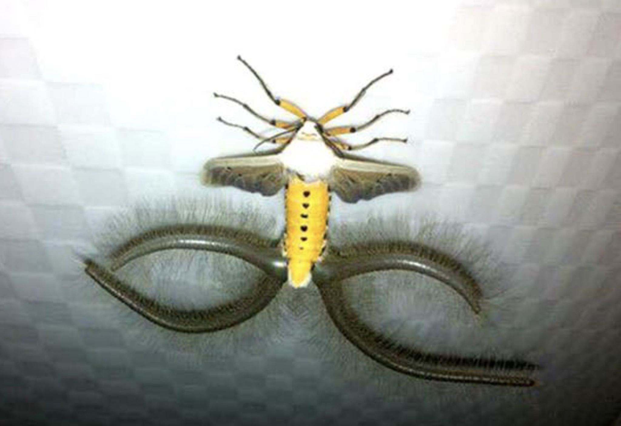 40 Late-Night Cursed Pics to Show Your Sleep Demon | eBaum's World