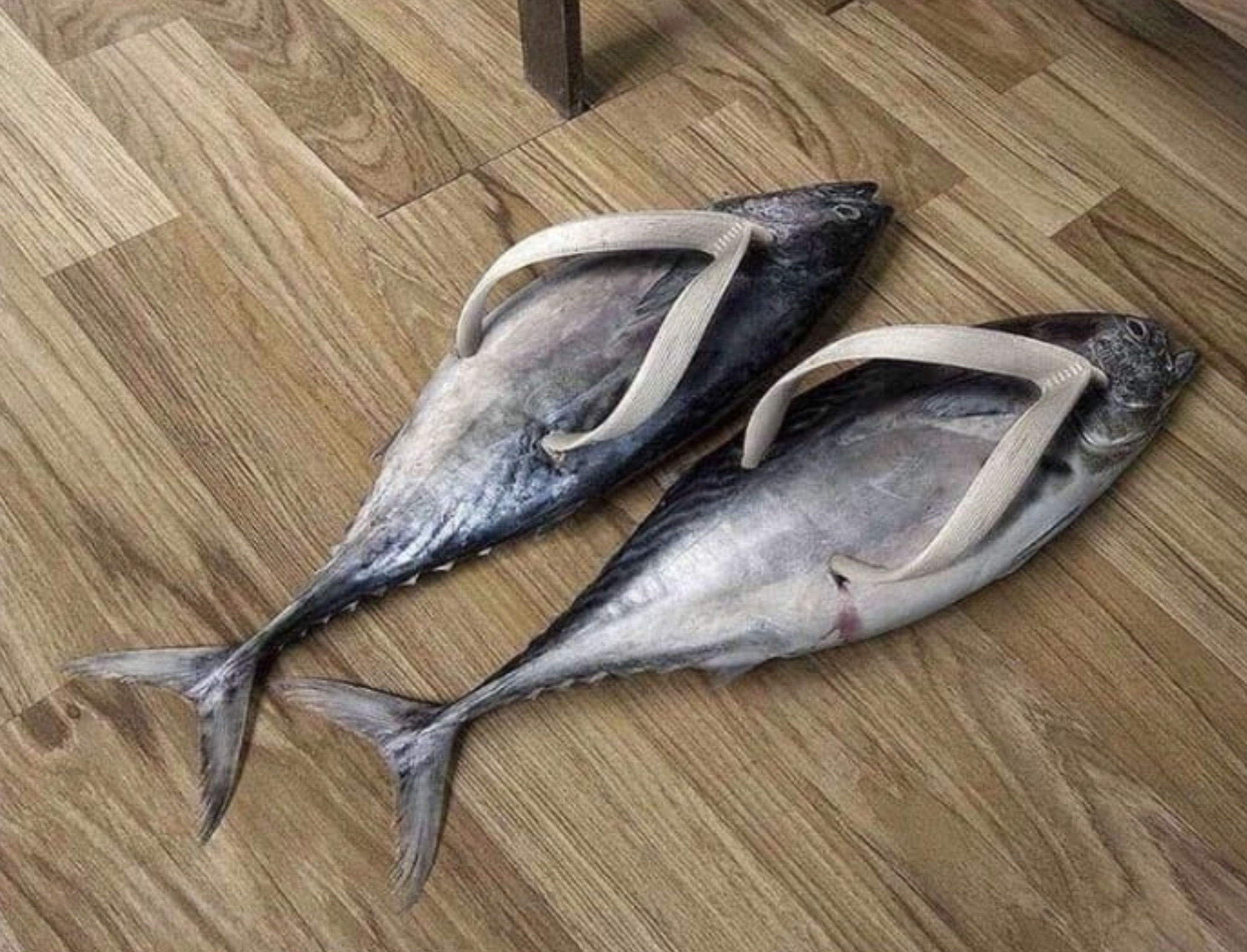 40 Late-Night Cursed Pics to Show Your Sleep Demon | eBaum's World