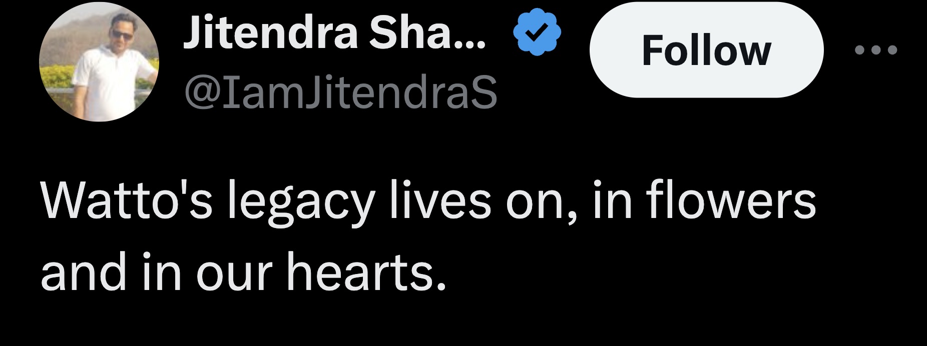 40 Memes and Reactions to the Death of Watto from 'Star Wars' | eBaum's ...