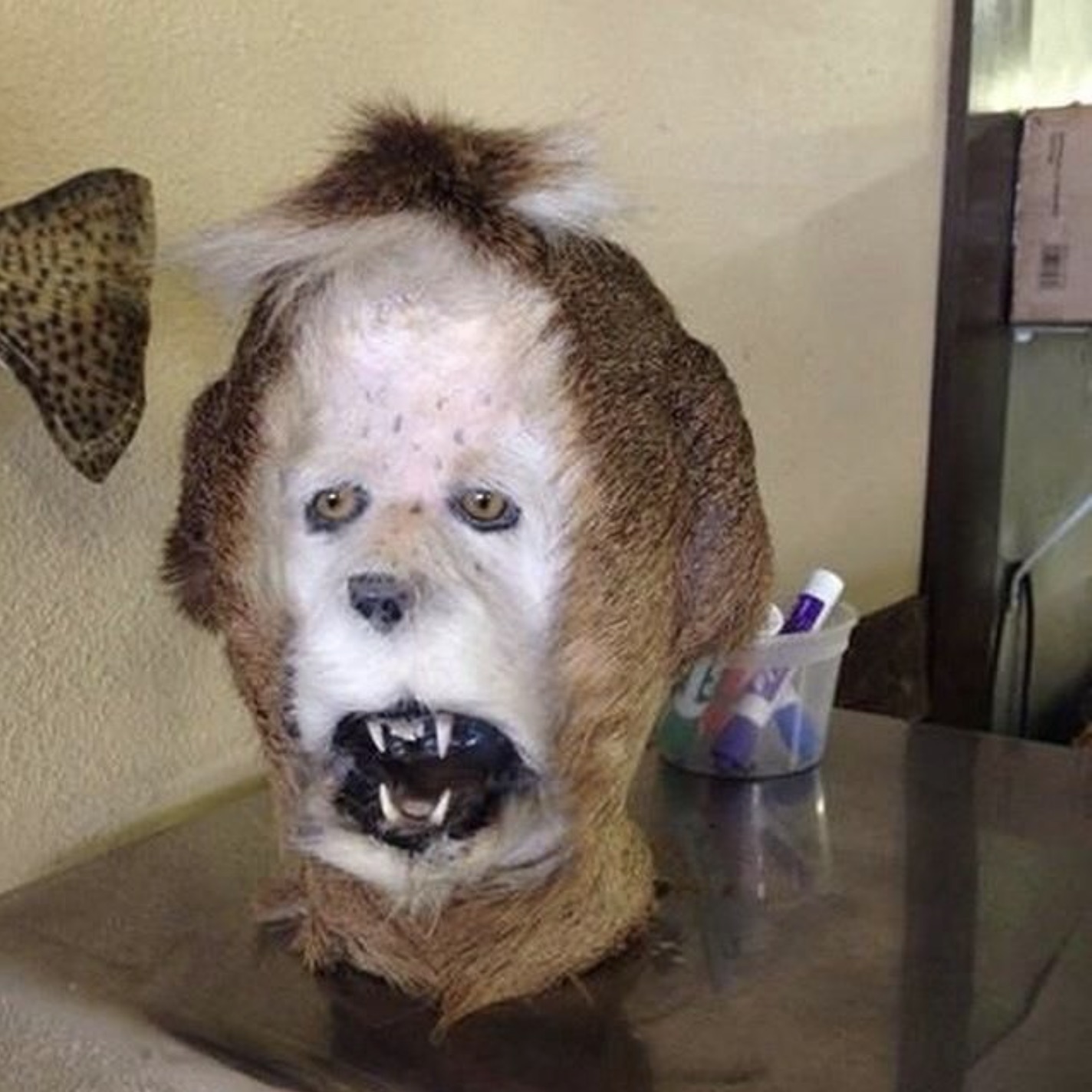 31 Cursed Randoms to Lick Your Mind Clean | eBaum's World