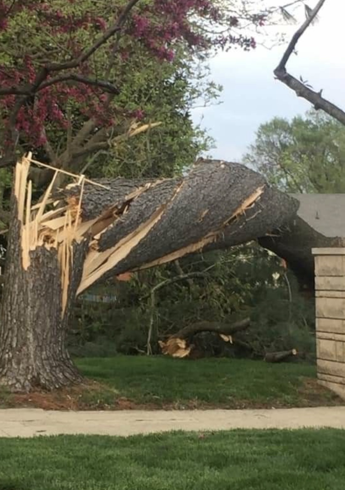 Weird & Chaotic Photos of Maximum Damage Taking Place | eBaum's World