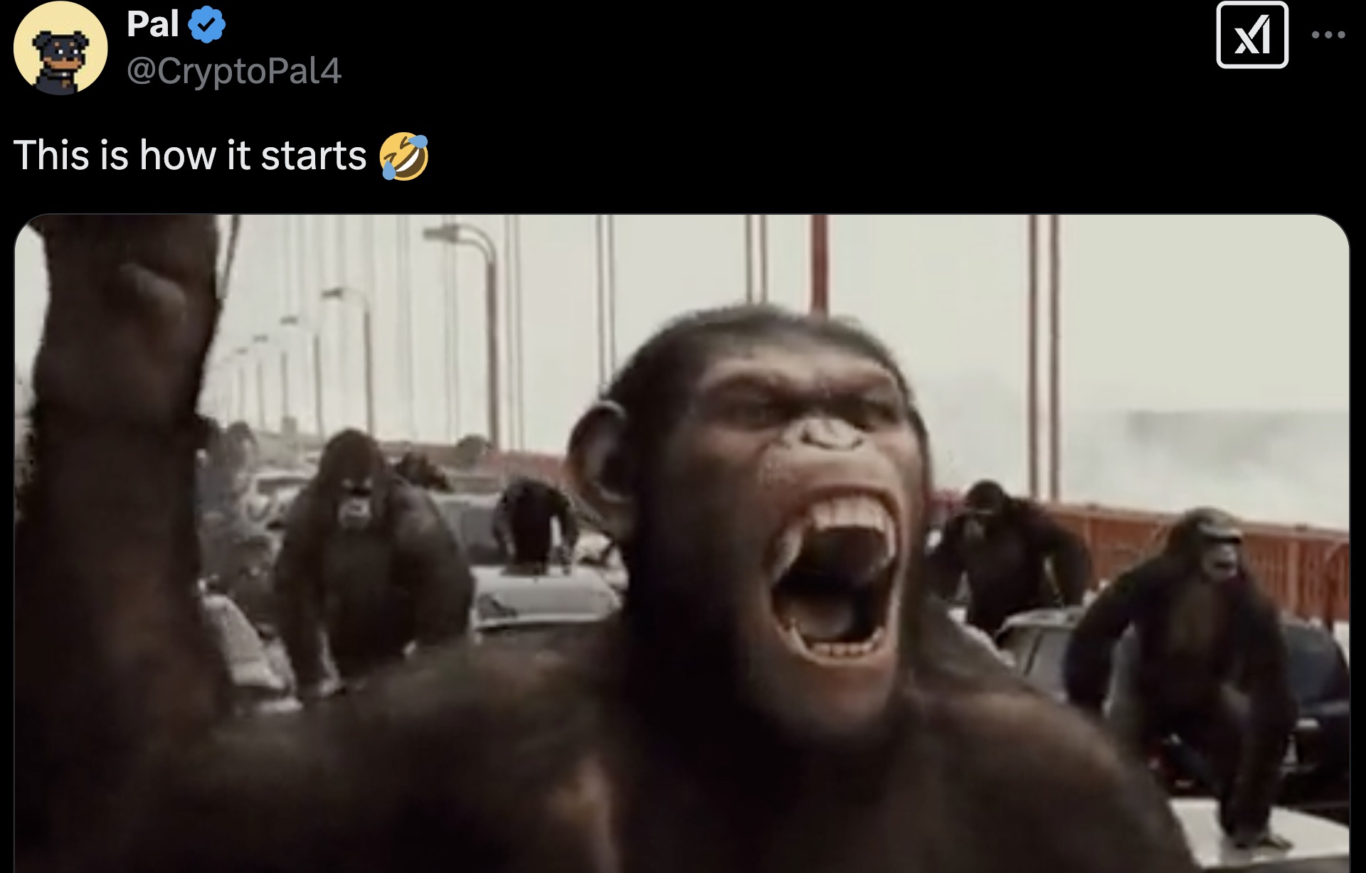 26 Tweets and Reactions to the Monkey Who Caused a Nationwide Blackout ...