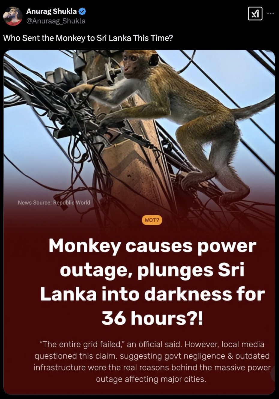 26 Tweets and Reactions to the Monkey Who Caused a Nationwide Blackout ...