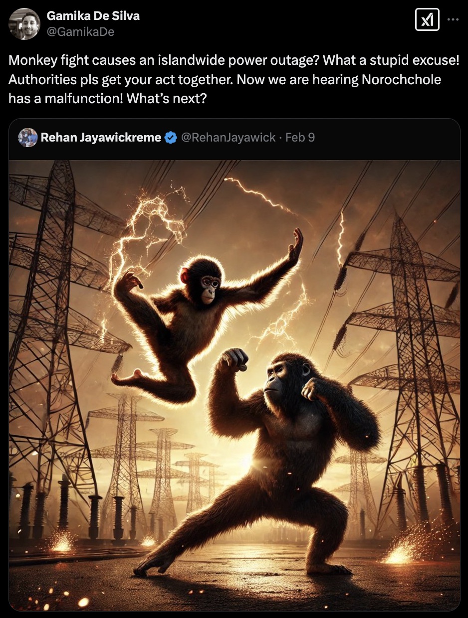 26 Tweets and Reactions to the Monkey Who Caused a Nationwide Blackout ...