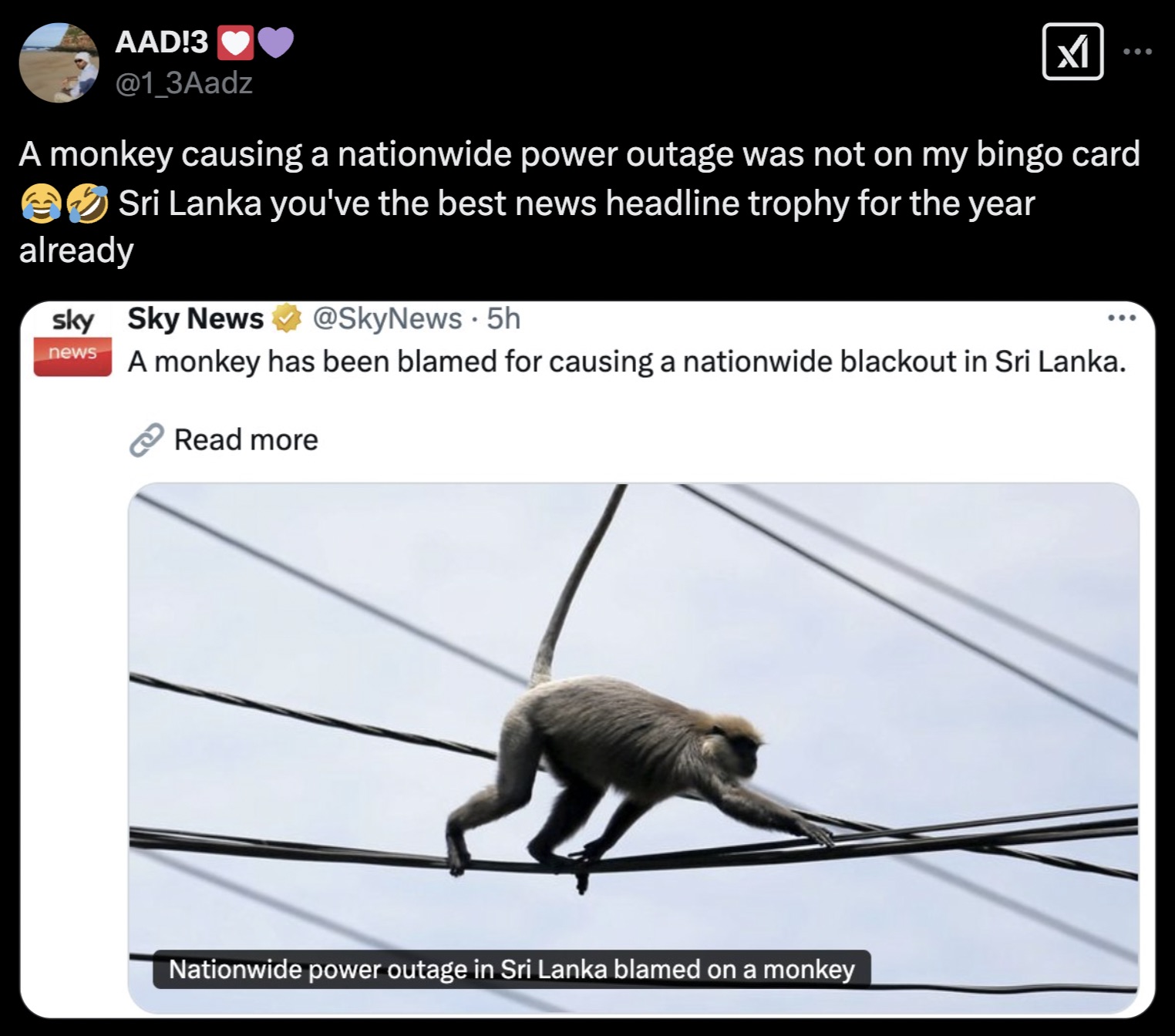 26 Tweets and Reactions to the Monkey Who Caused a Nationwide Blackout ...
