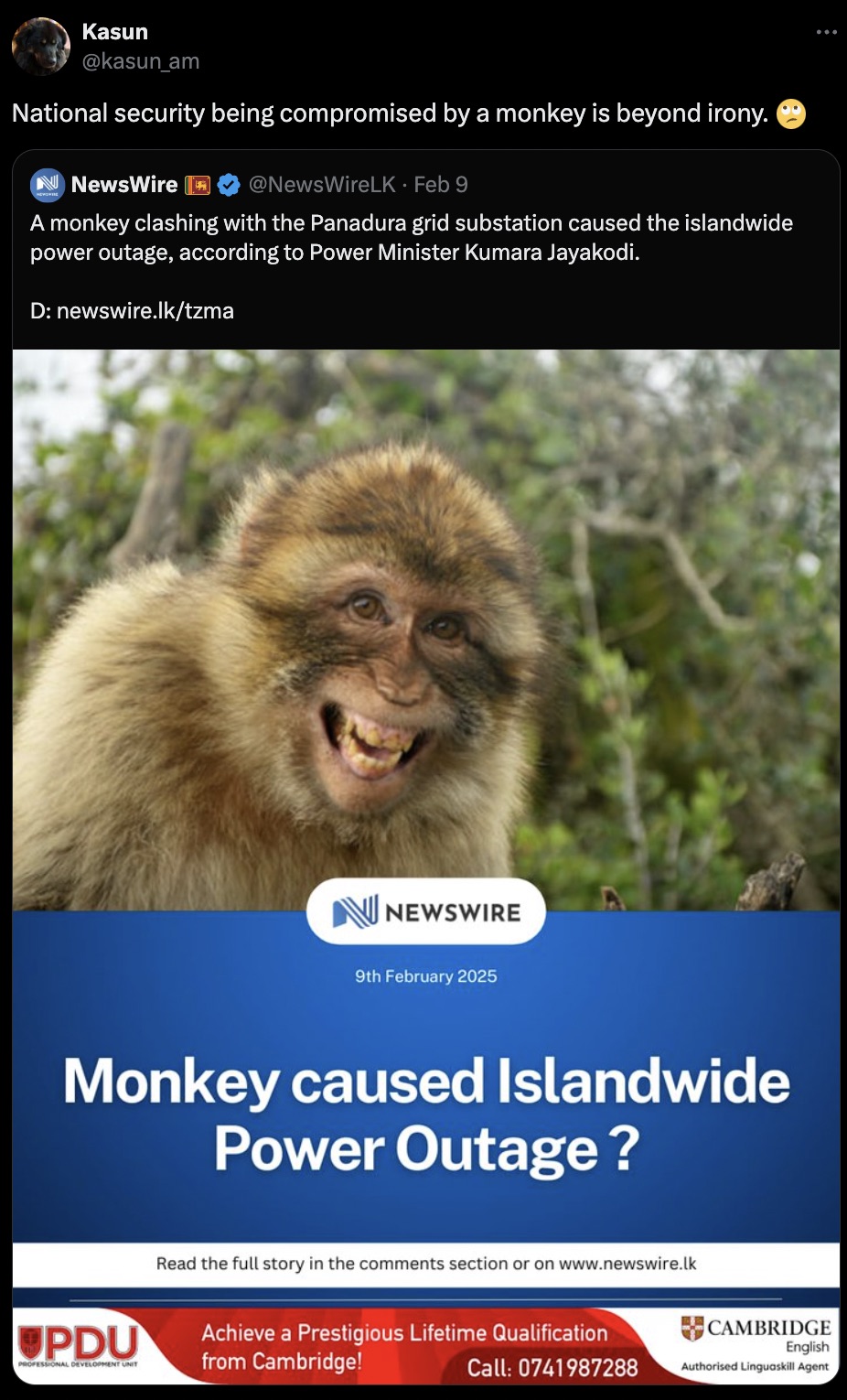 26 Tweets and Reactions to the Monkey Who Caused a Nationwide Blackout ...