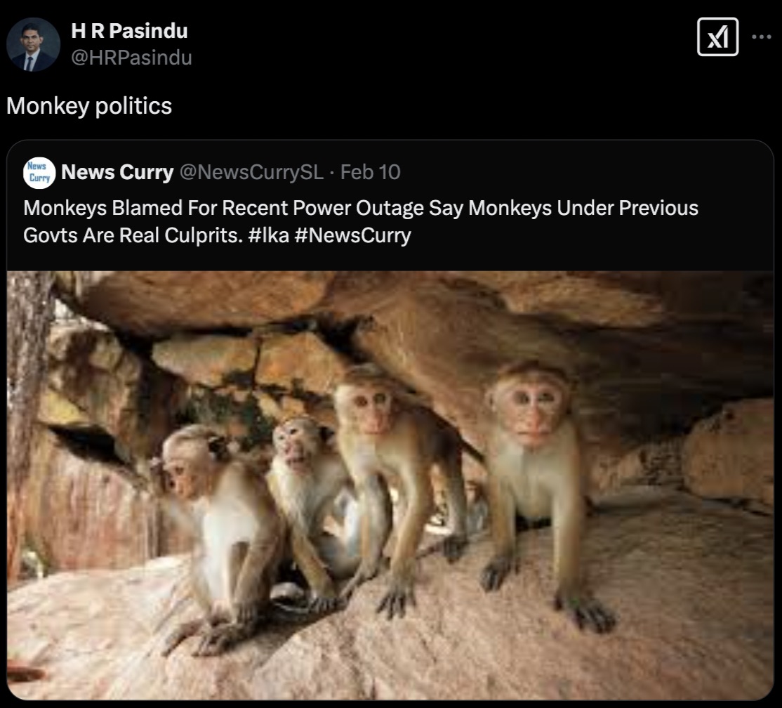 26 Tweets and Reactions to the Monkey Who Caused a Nationwide Blackout ...