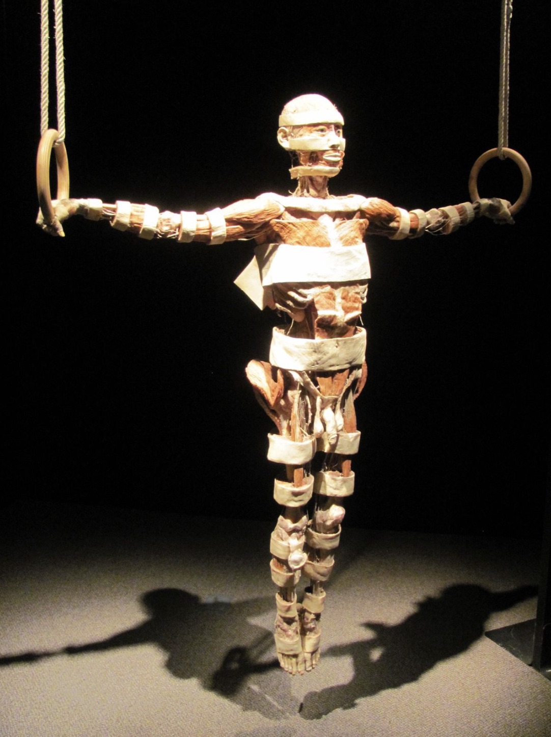 50 Terrifying Inside-Out Anatomy Statues | eBaum's World