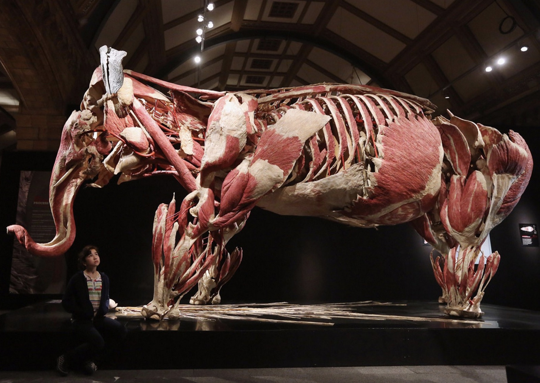 50 Terrifying Inside-Out Anatomy Statues | eBaum's World