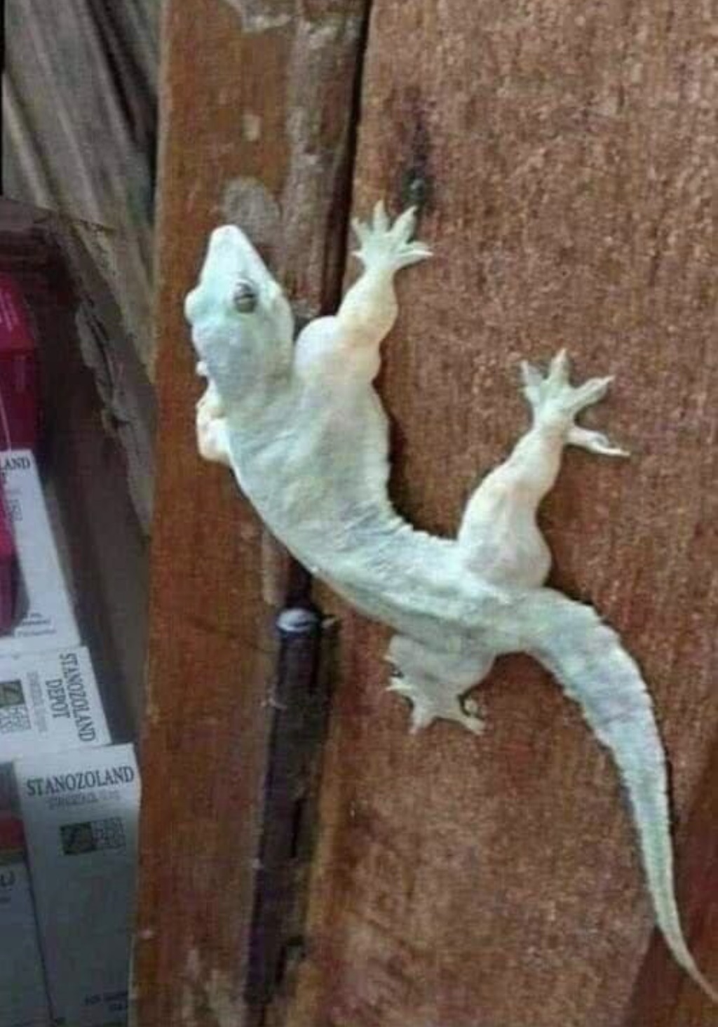 35 Cursed Pics from the Unsettling Depths of the Web | eBaum's World