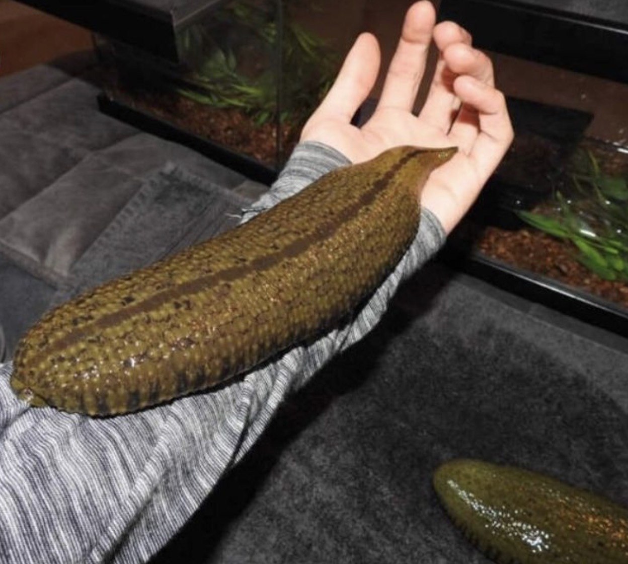 35 Cursed Pics from the Unsettling Depths of the Web | eBaum's World