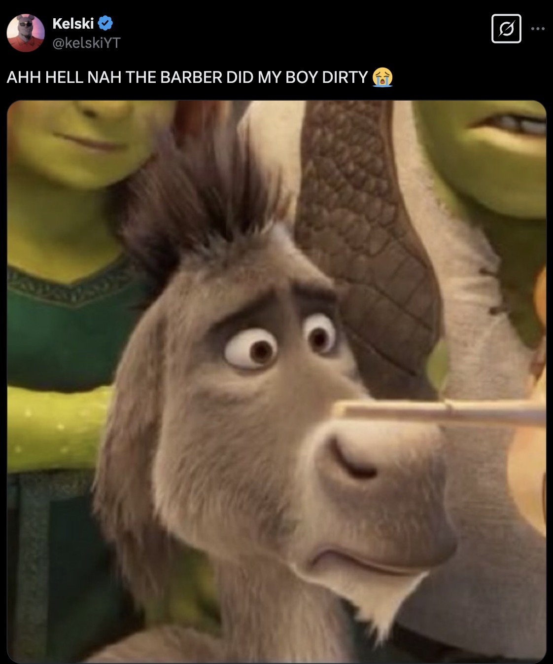 32 Tweets and Reactions to the 'Shrek 5' Trailer | eBaum's World