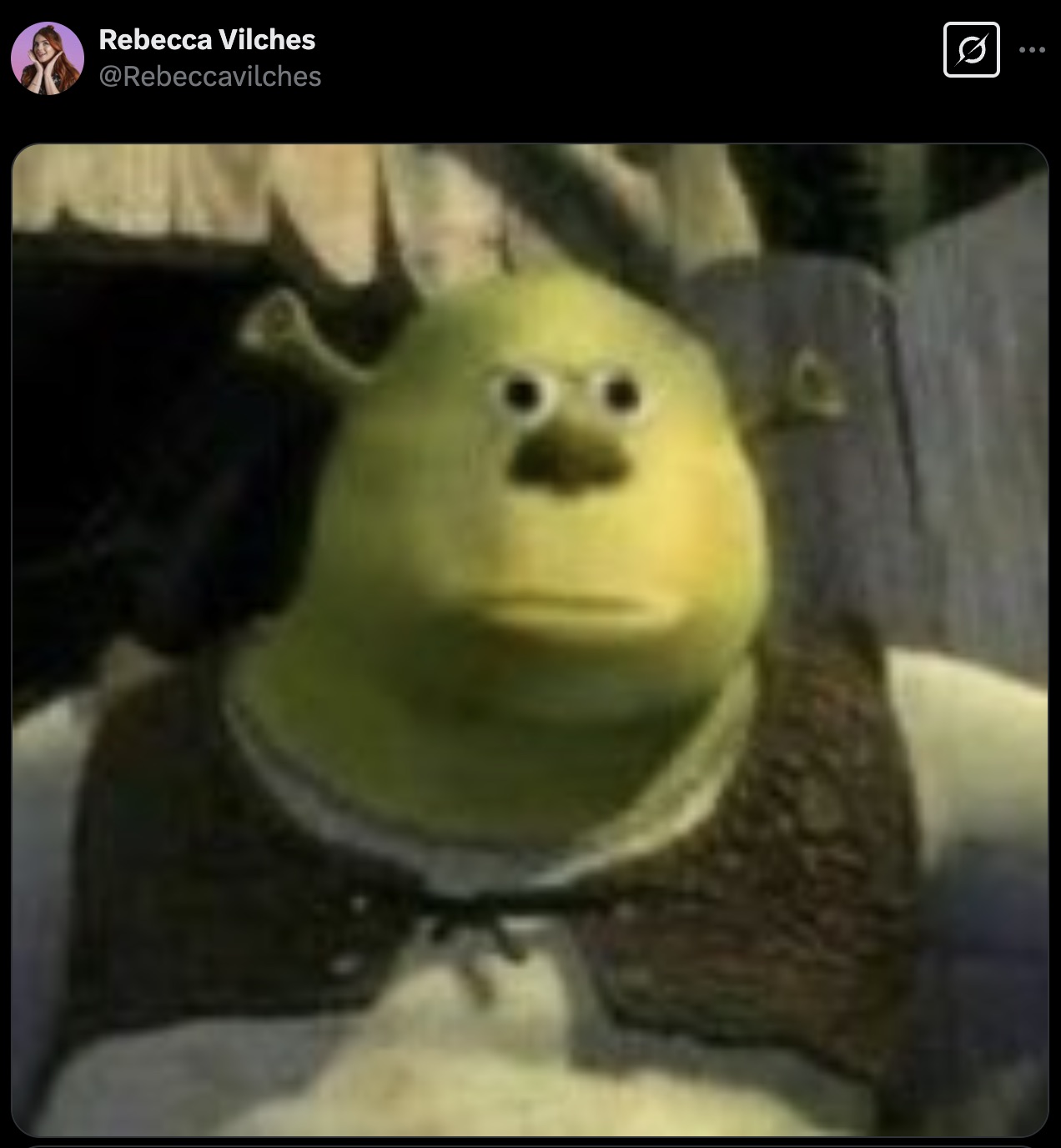 32 Tweets and Reactions to the 'Shrek 5' Trailer | eBaum's World