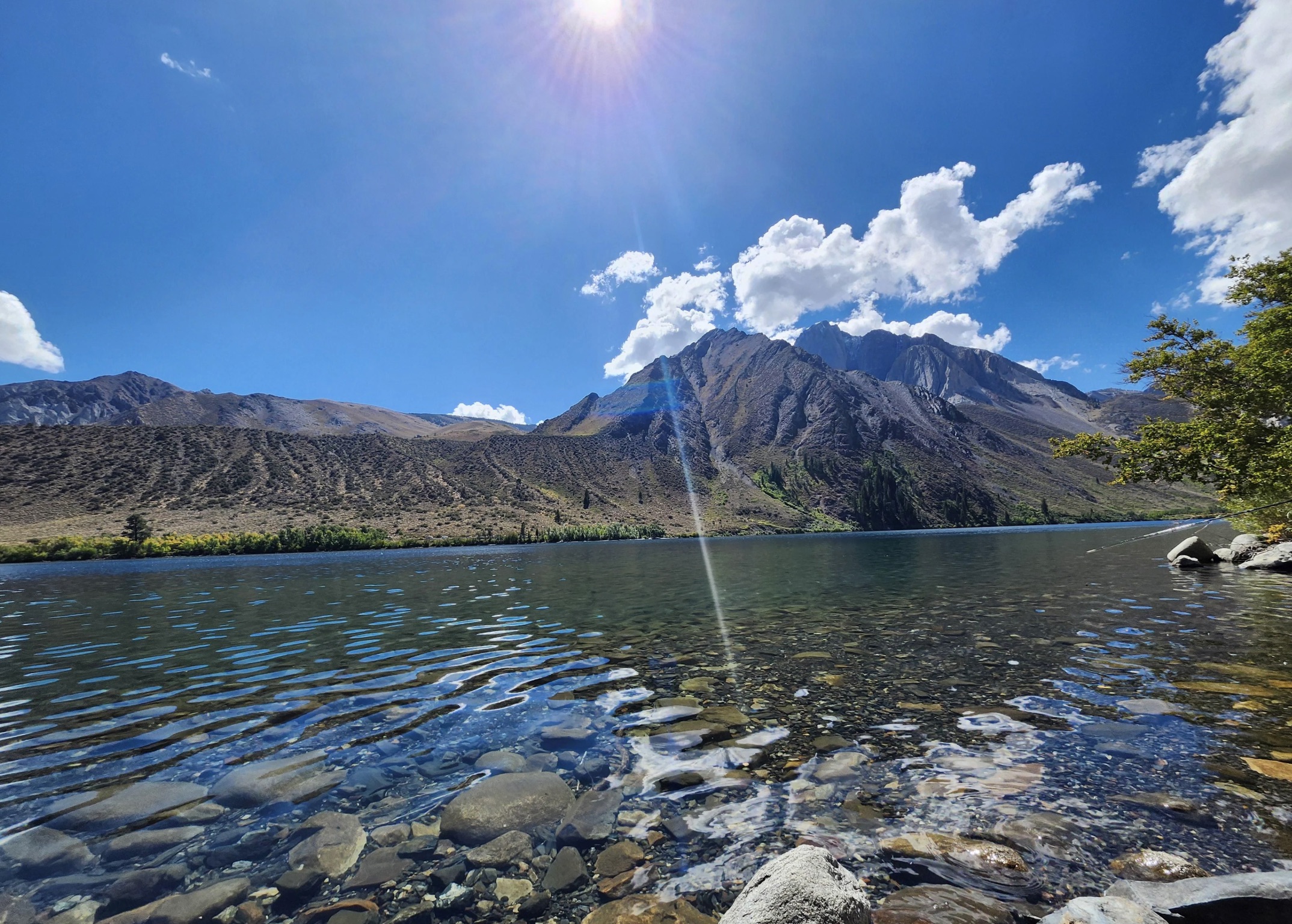 The Natural World, Seen in All its Timeless Glory | eBaum's World