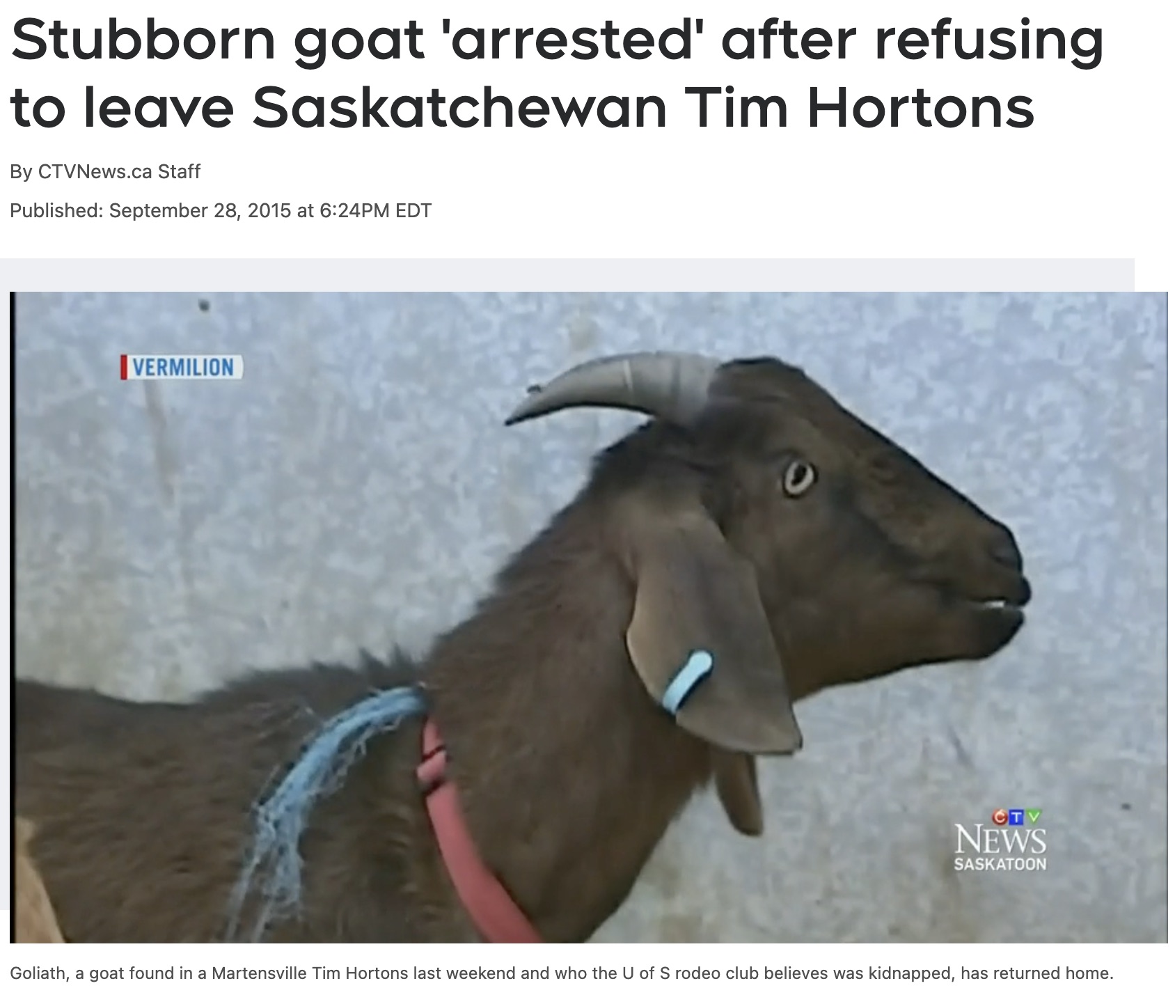 15 Criminal Animals on the Run from the Law | eBaum's World