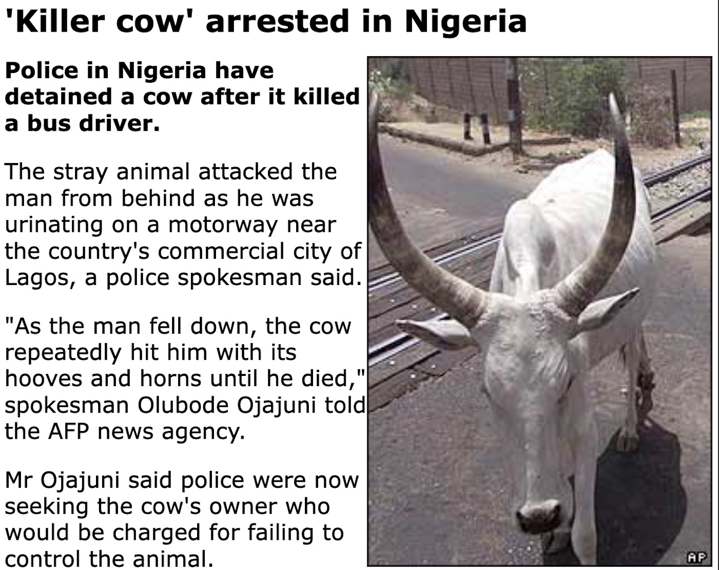 15 Criminal Animals on the Run from the Law | eBaum's World