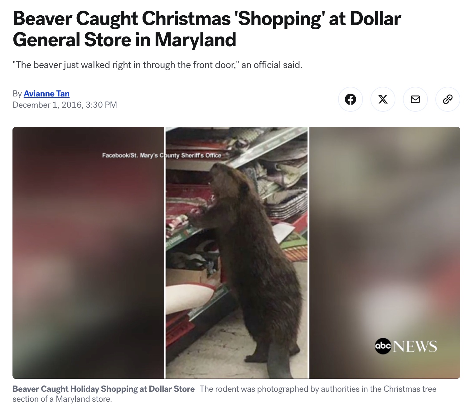 15 Criminal Animals on the Run from the Law | eBaum's World