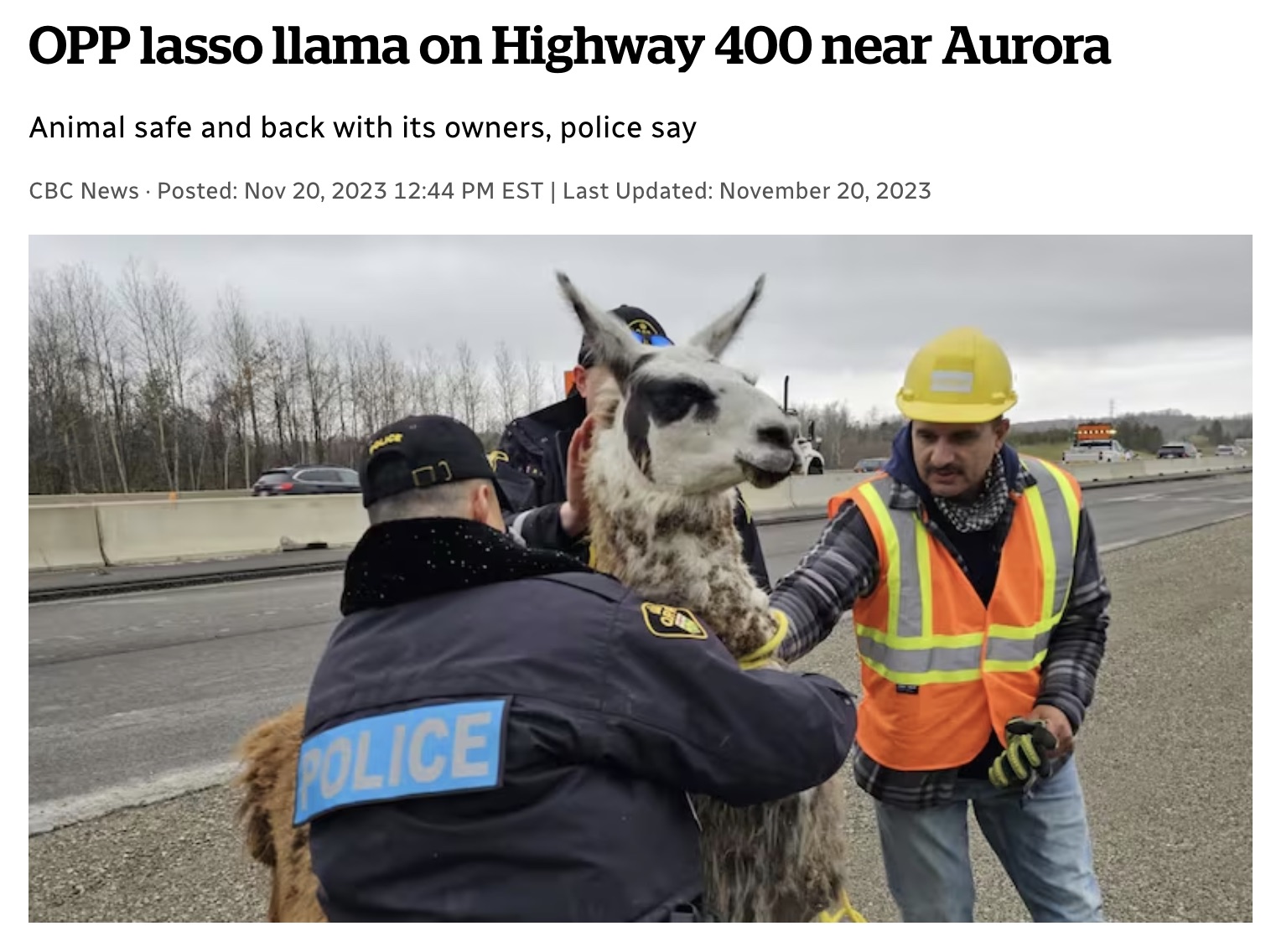 15 Criminal Animals on the Run from the Law | eBaum's World