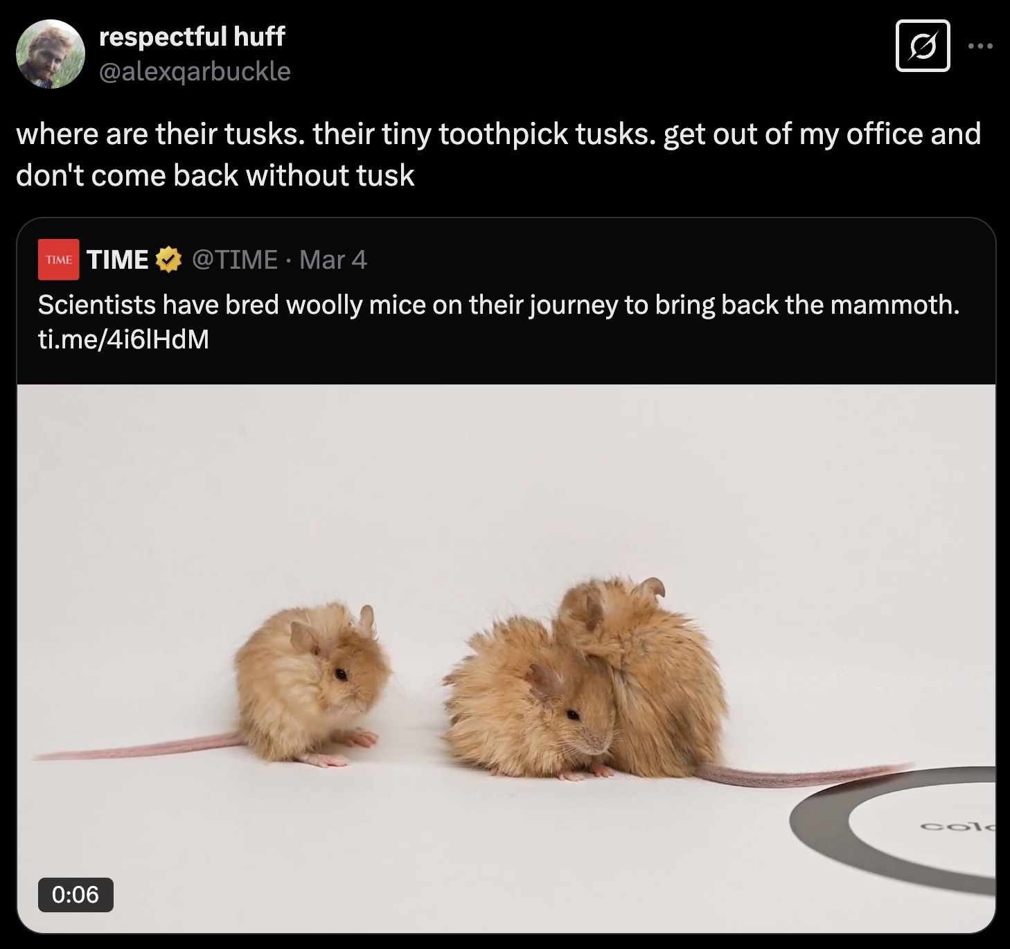 24 Tweets and Reactions to the New Wooly Mice | eBaum's World