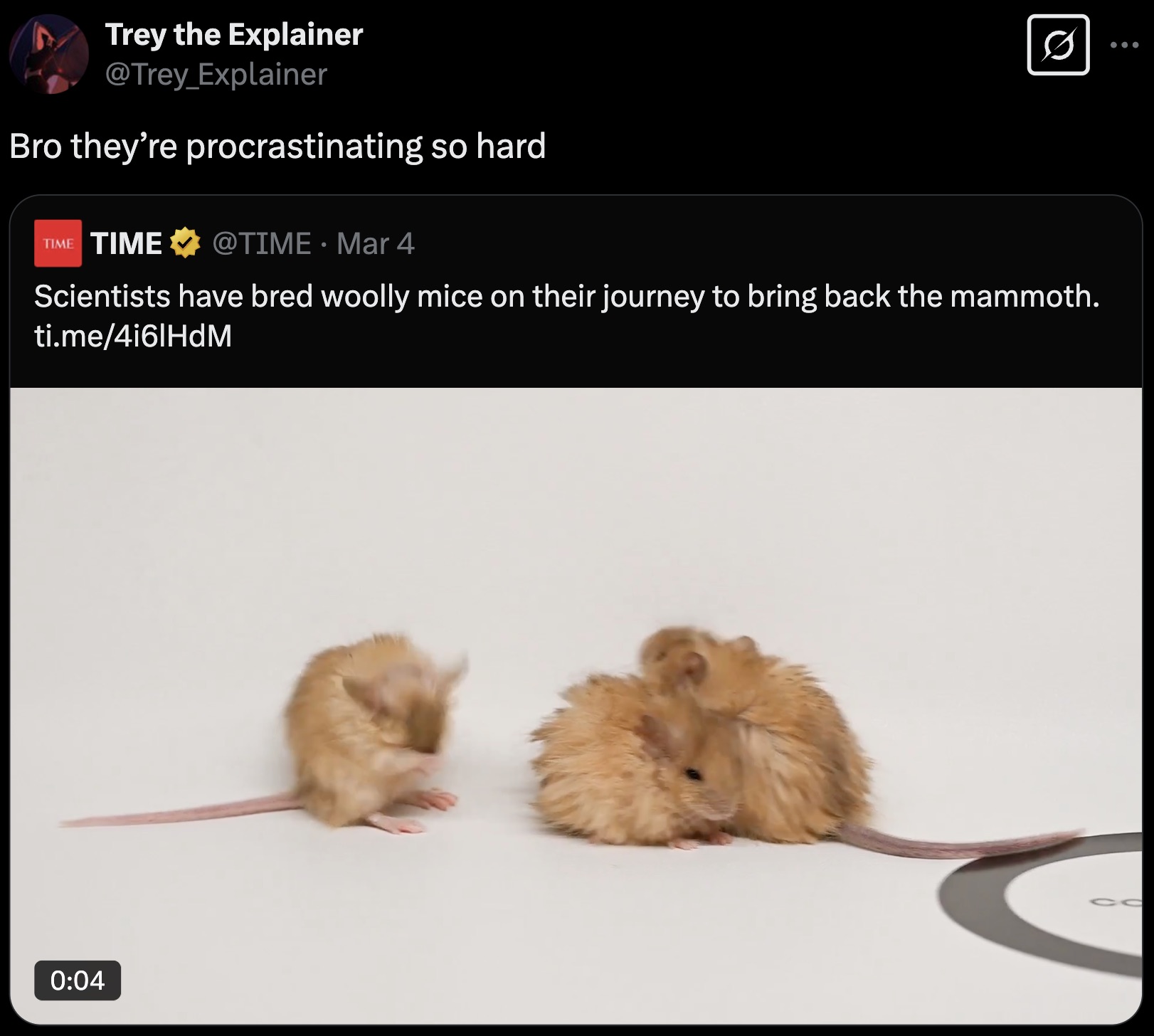 24 Tweets and Reactions to the New Wooly Mice | eBaum's World
