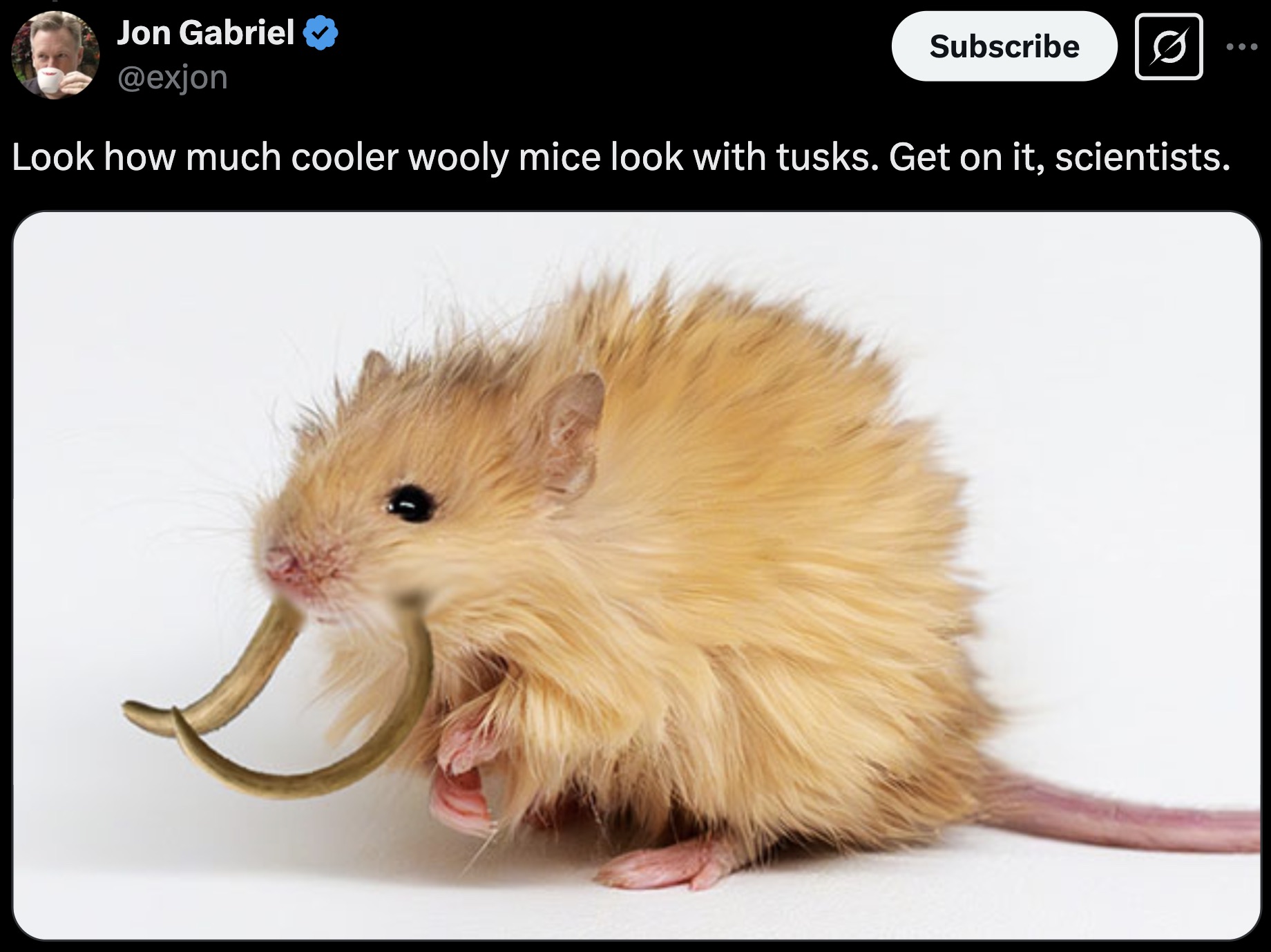 24 Tweets and Reactions to the New Wooly Mice | eBaum's World