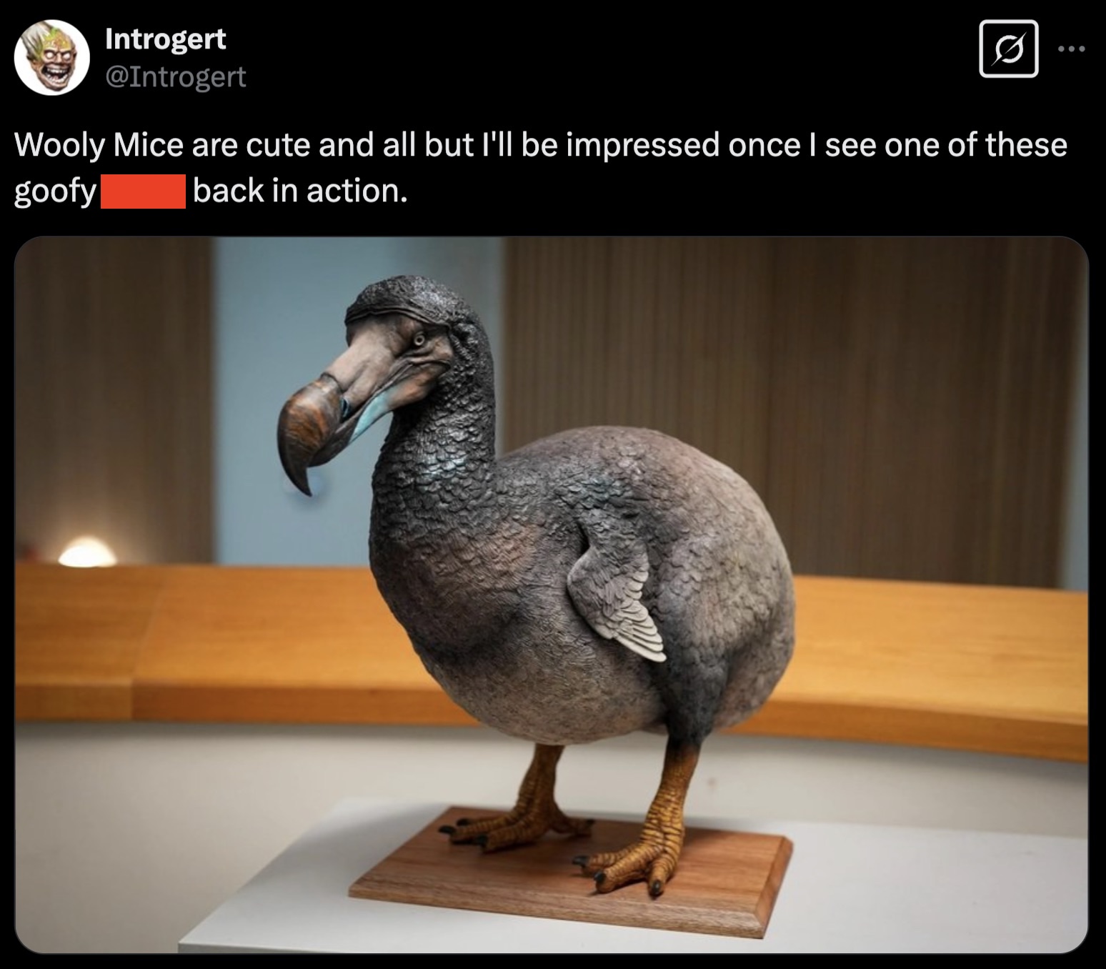 24 Tweets and Reactions to the New Wooly Mice | eBaum's World