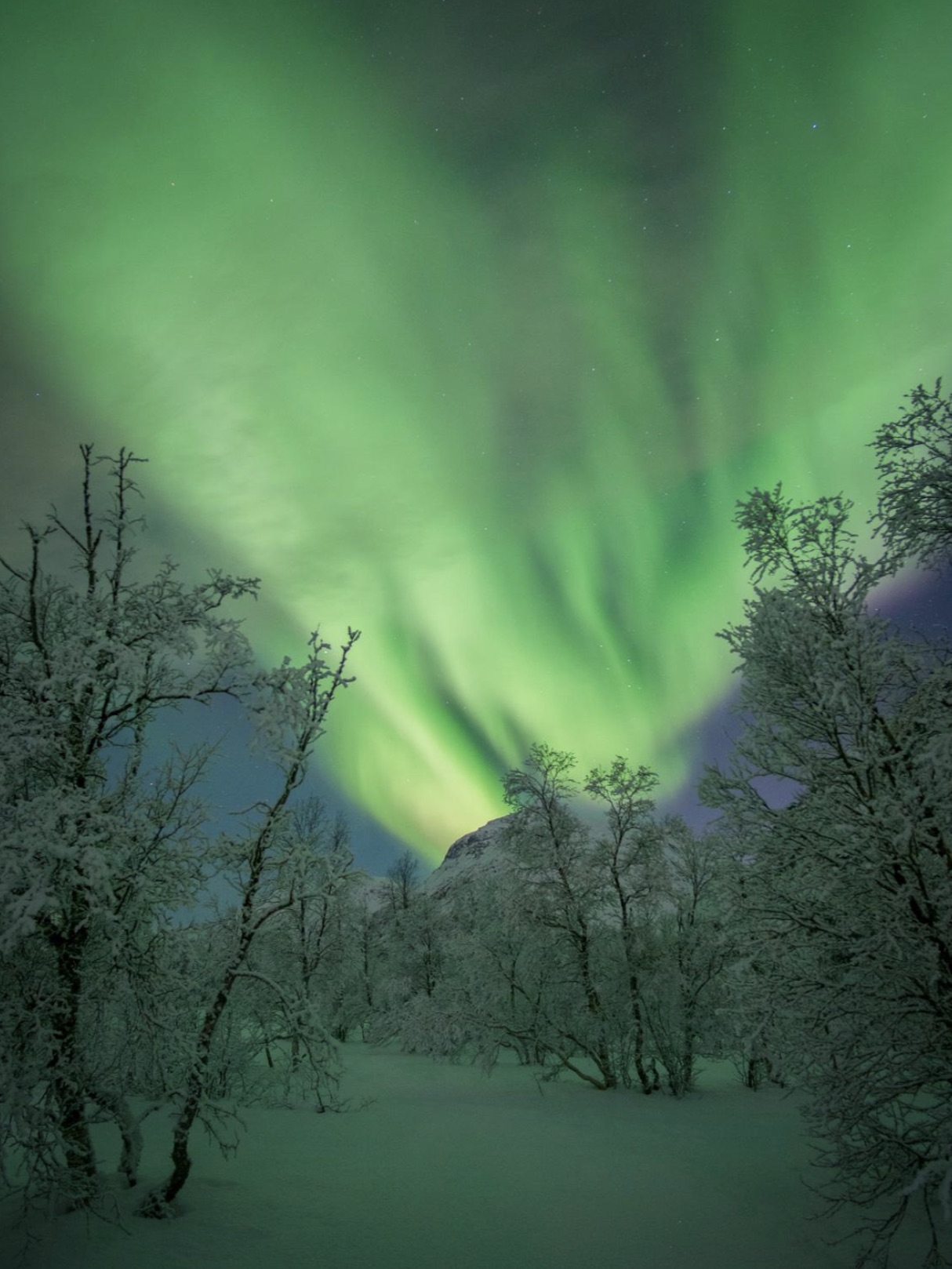 25 Fascinating Photos to Make the Work Day Go Faster | eBaum's World