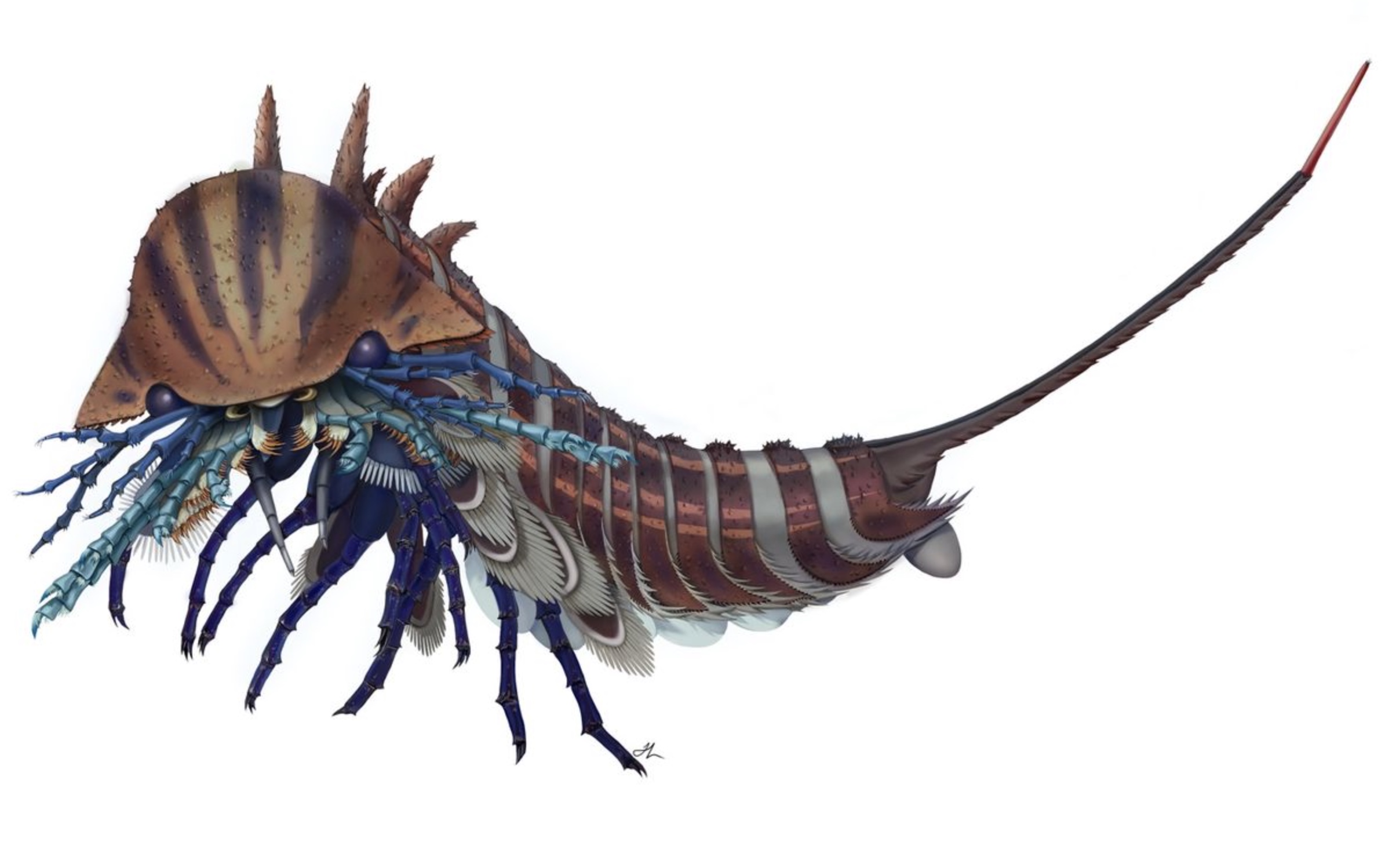 Nature's Early Known Attempts at Making Sea Creatures | eBaum's World