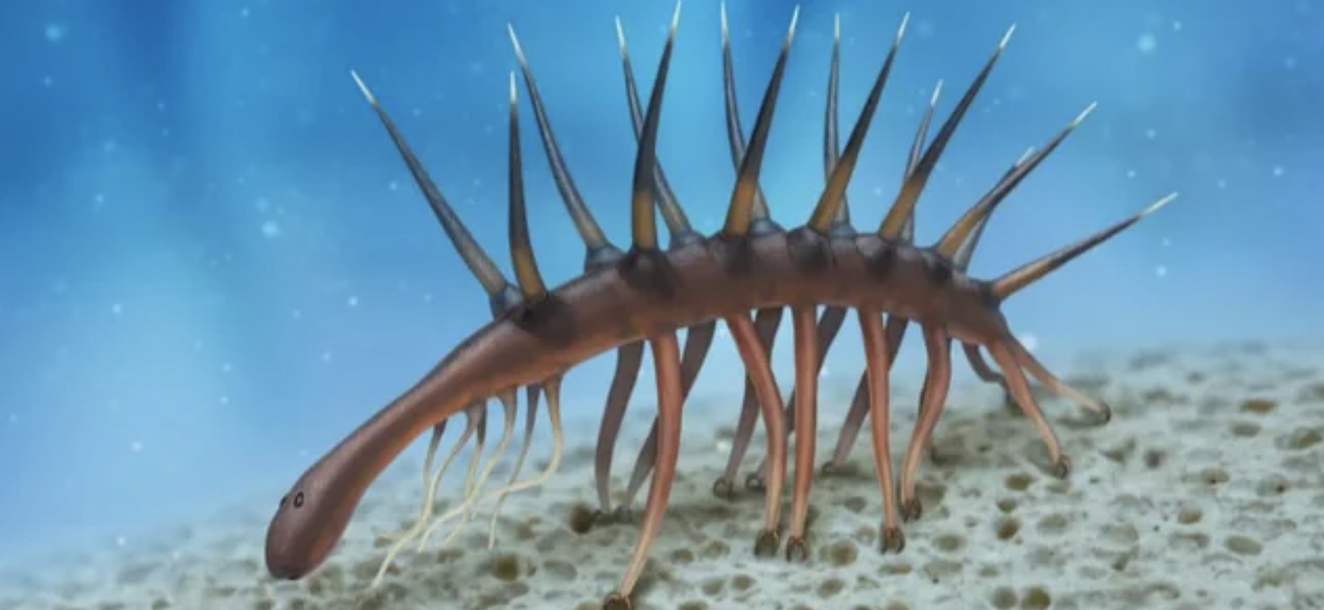 Nature's Early Known Attempts at Making Sea Creatures | eBaum's World