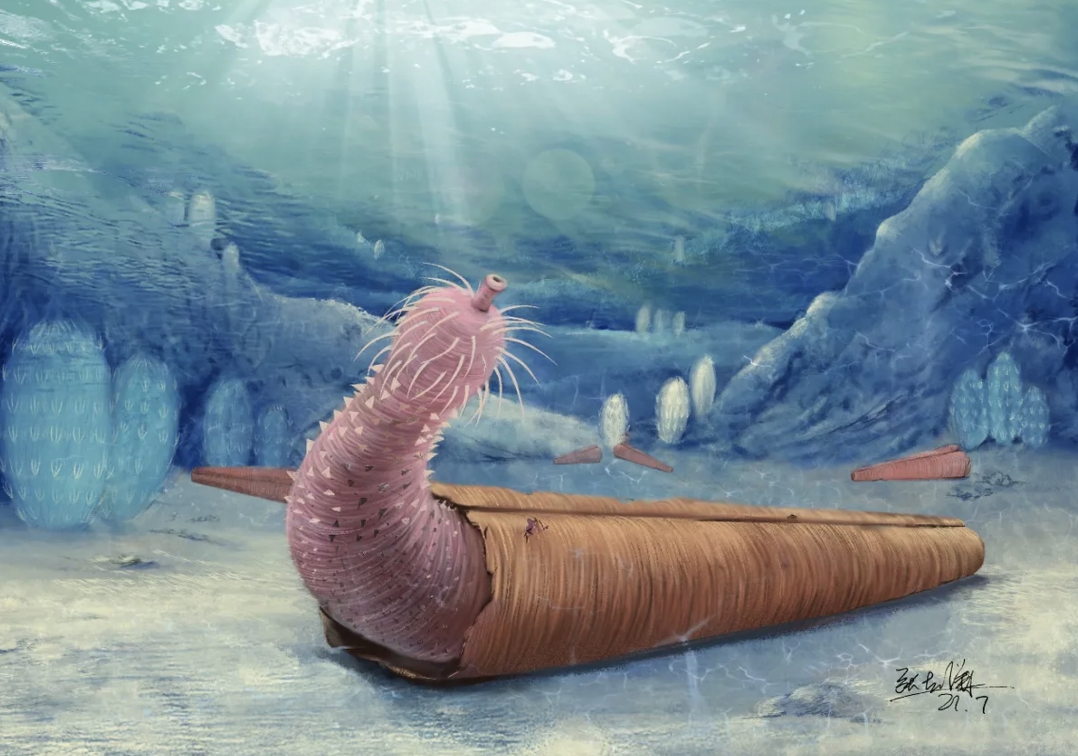 Nature's Early Known Attempts at Making Sea Creatures | eBaum's World